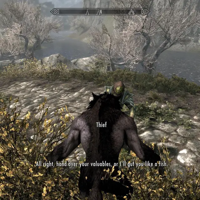 A skyrim moment | Scrolller