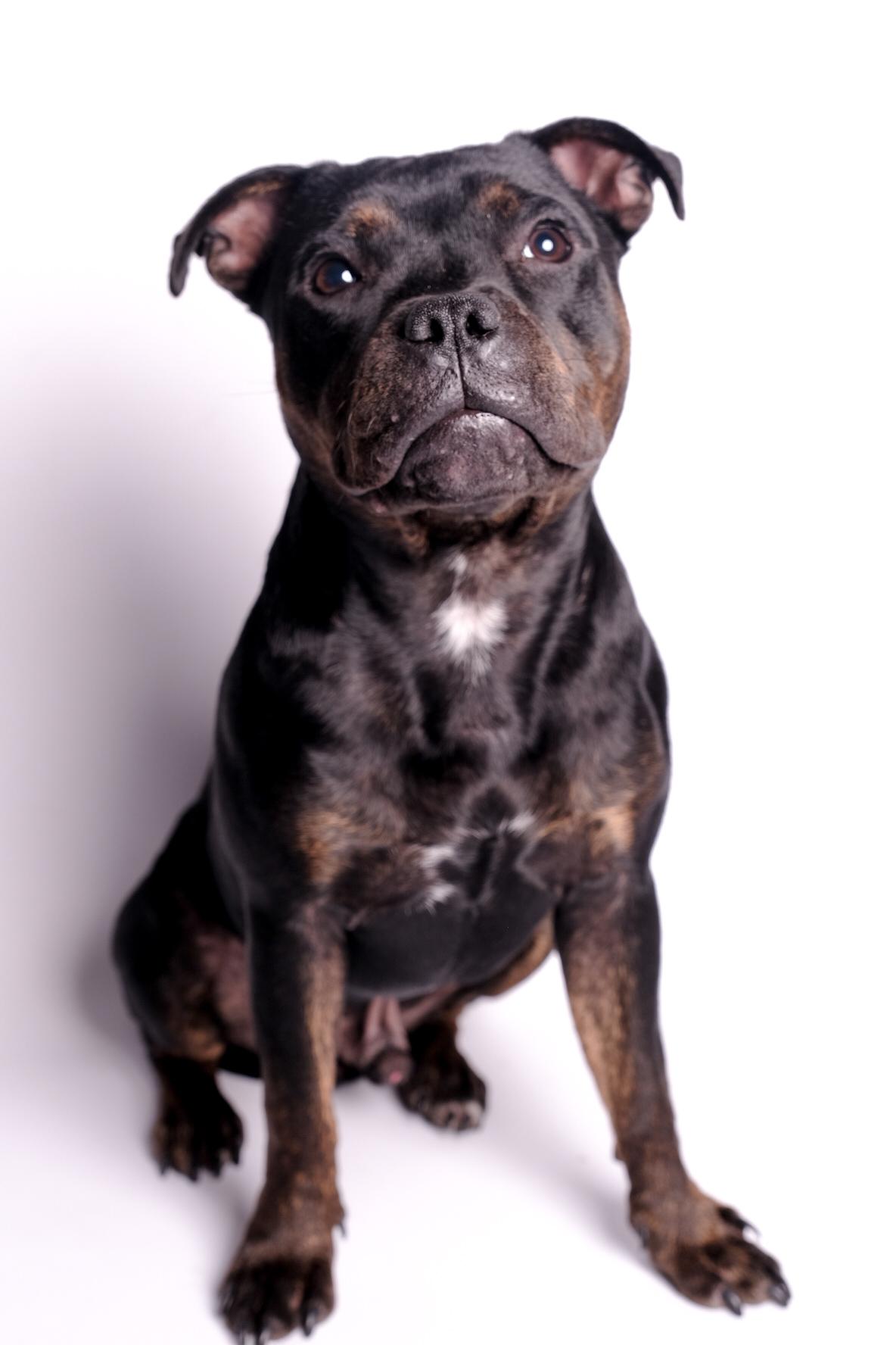 Did a photoshoot with Jax today | Scrolller