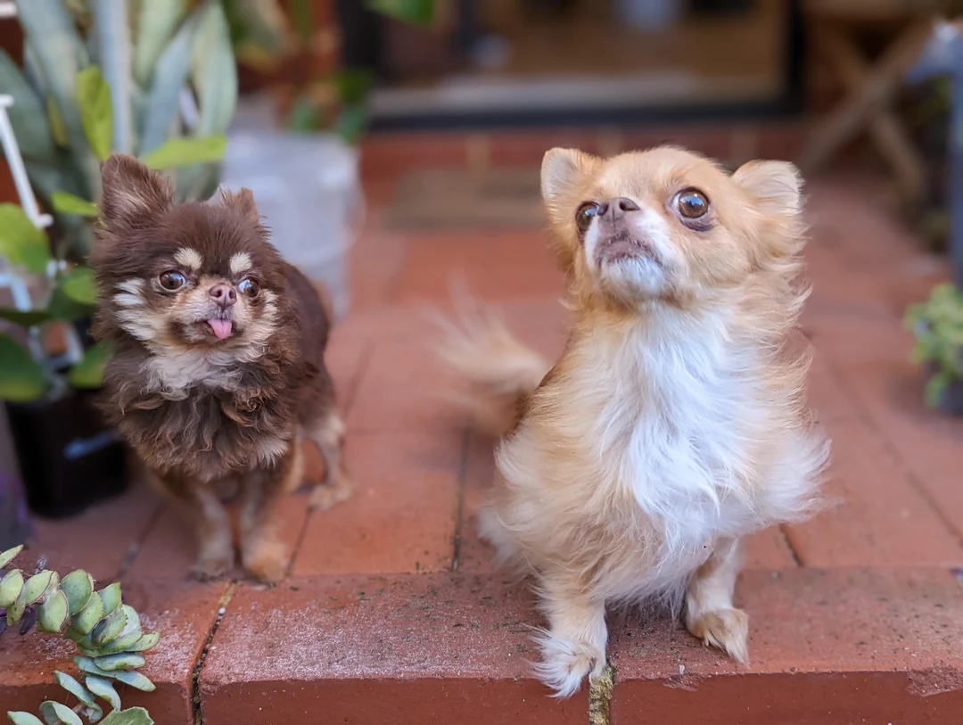 strike a pose pick your nose | Scrolller