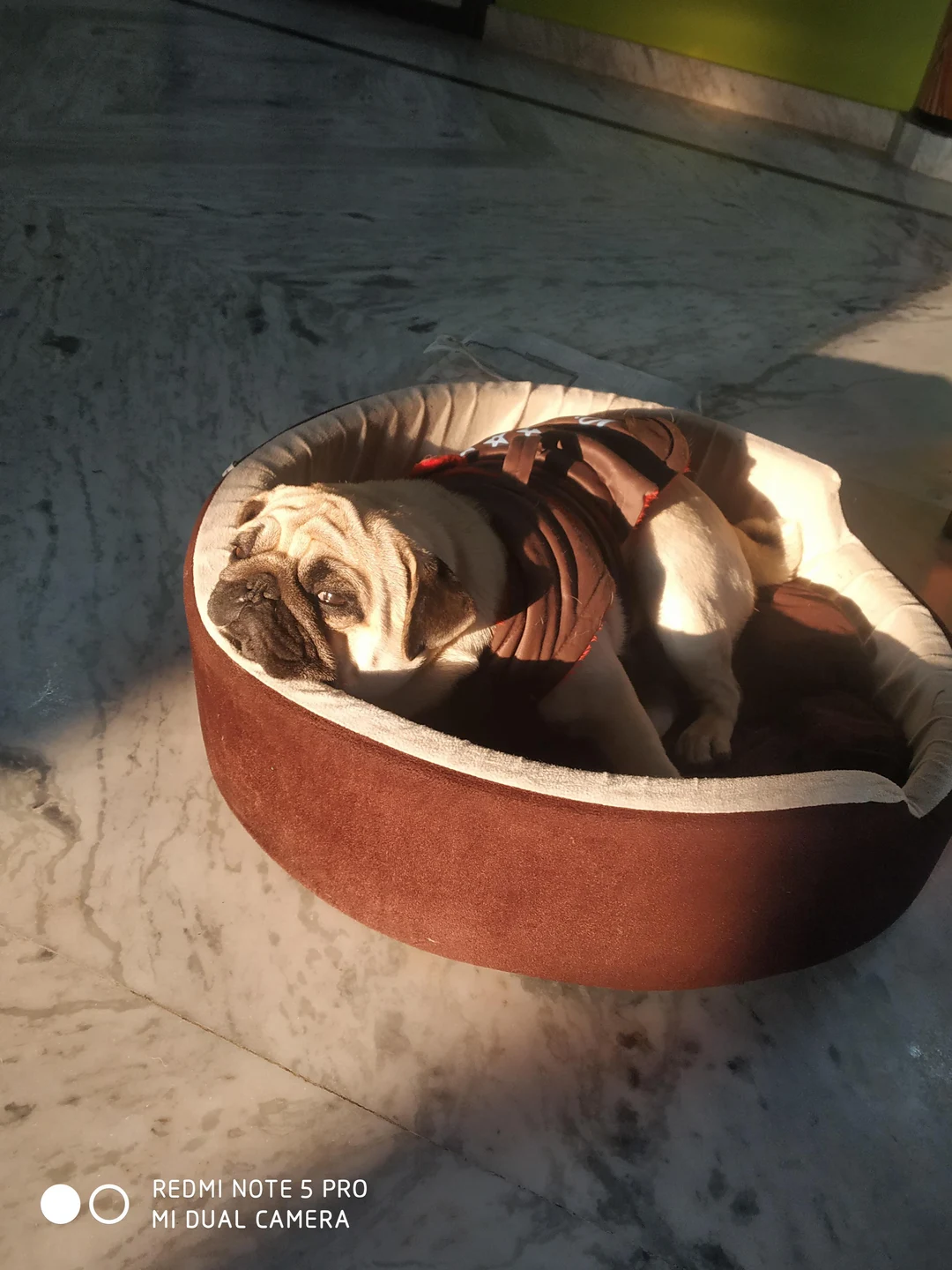 Ahh…that sun rays in winter ️ ☀️🤣 | Scrolller