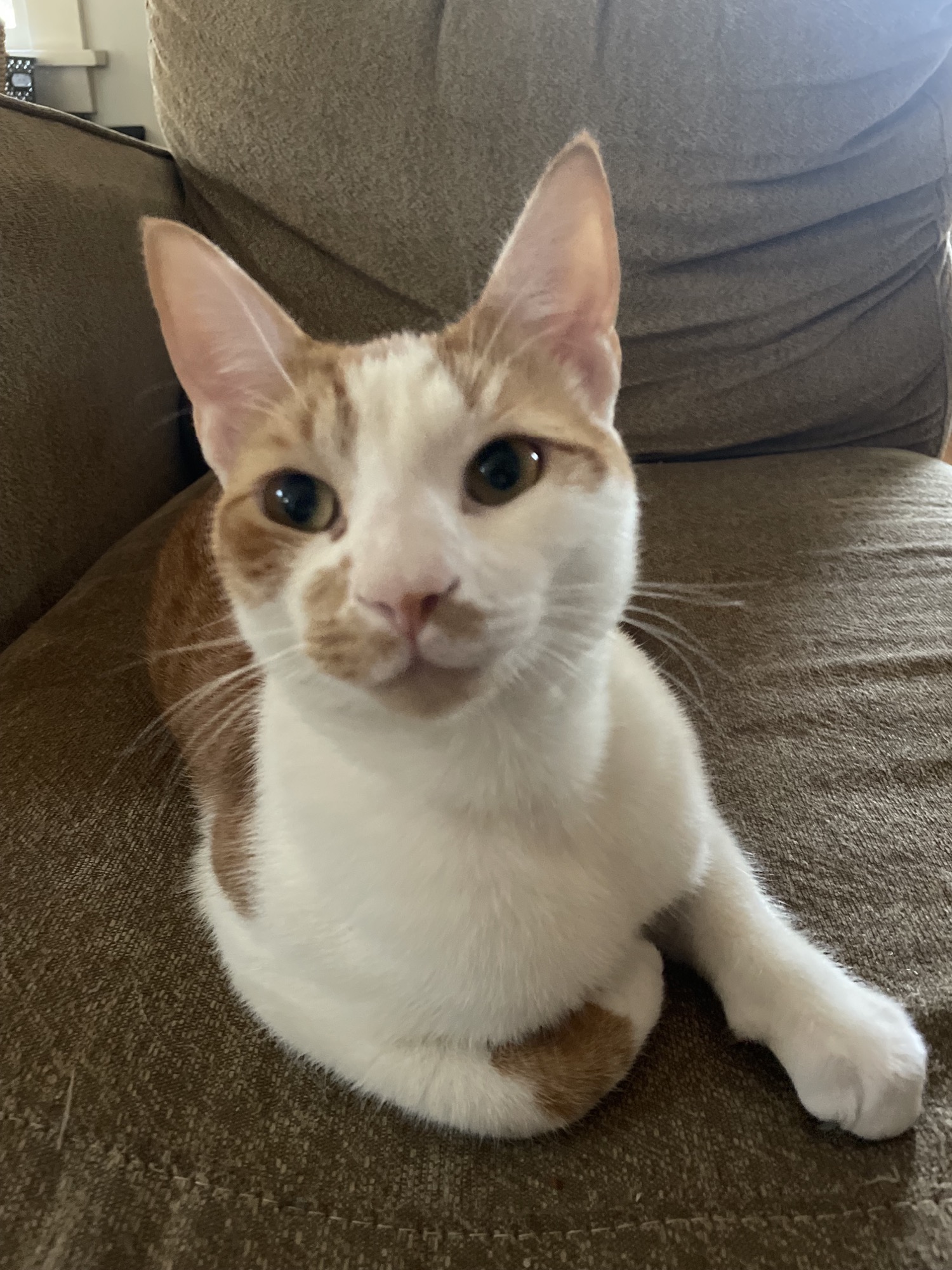 Hangin with the bestie | Scrolller