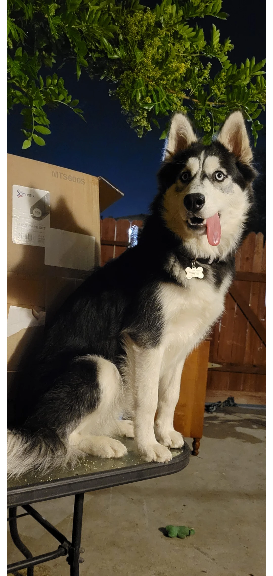 Plotting 🐺 | Scrolller