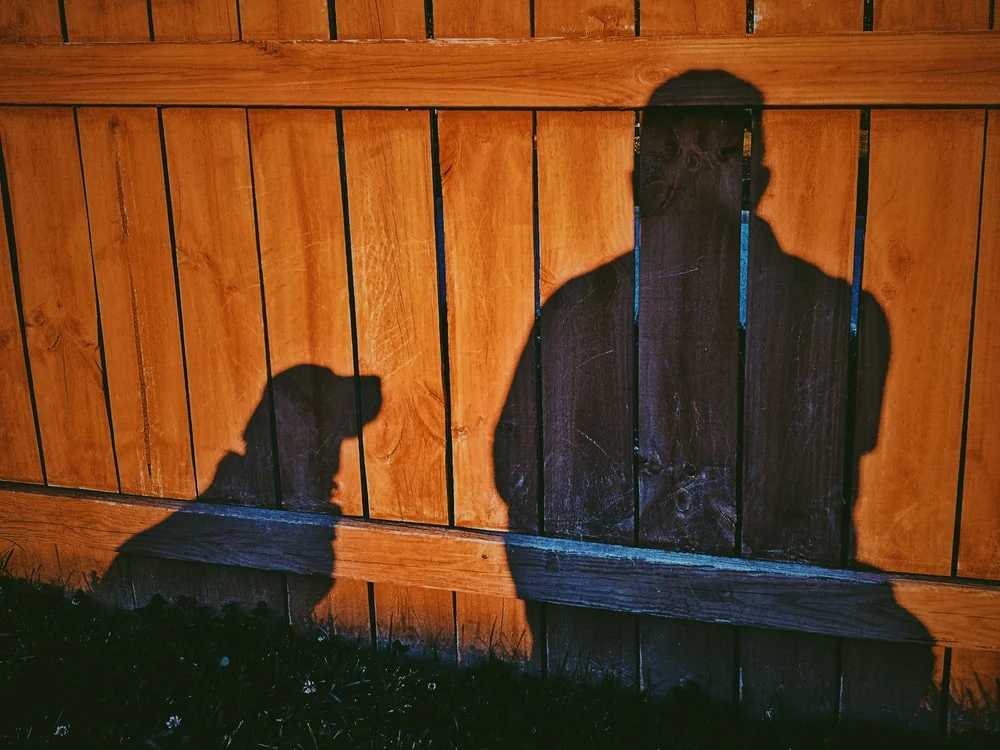 Me With Jerry | Scrolller