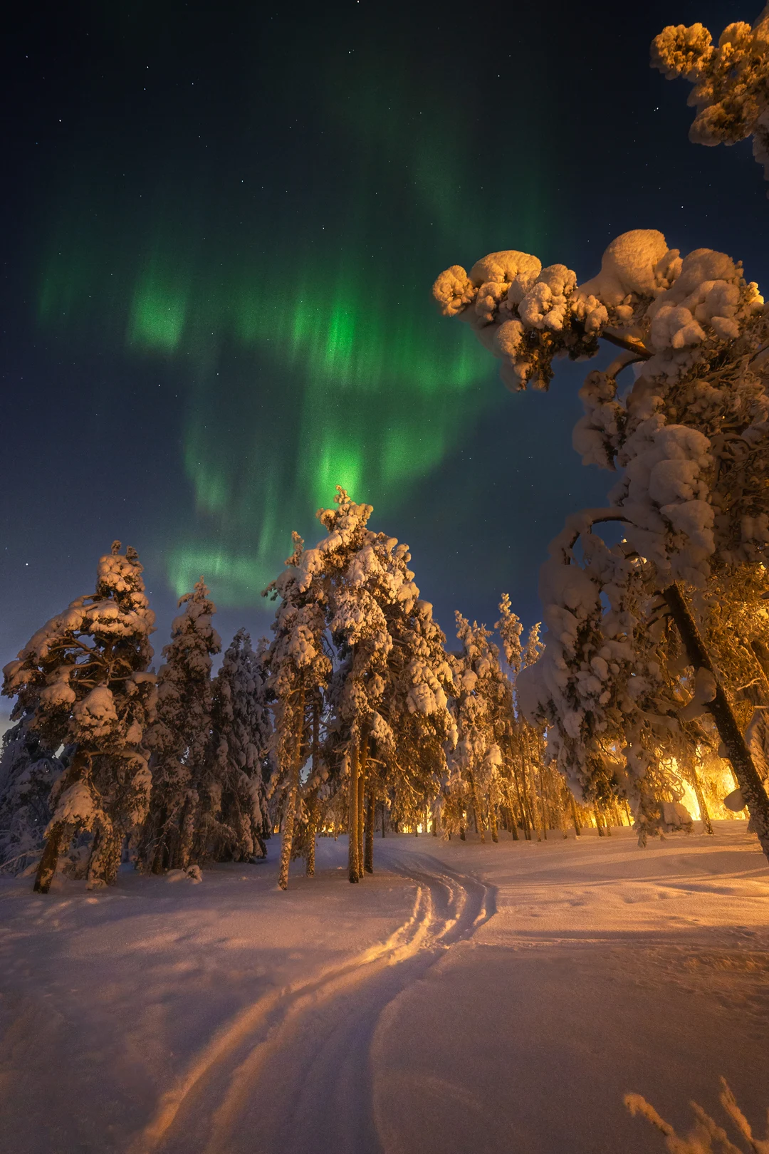 Walking this path with the lights dancing overhead [OC] [Central Finland] | Scrolller