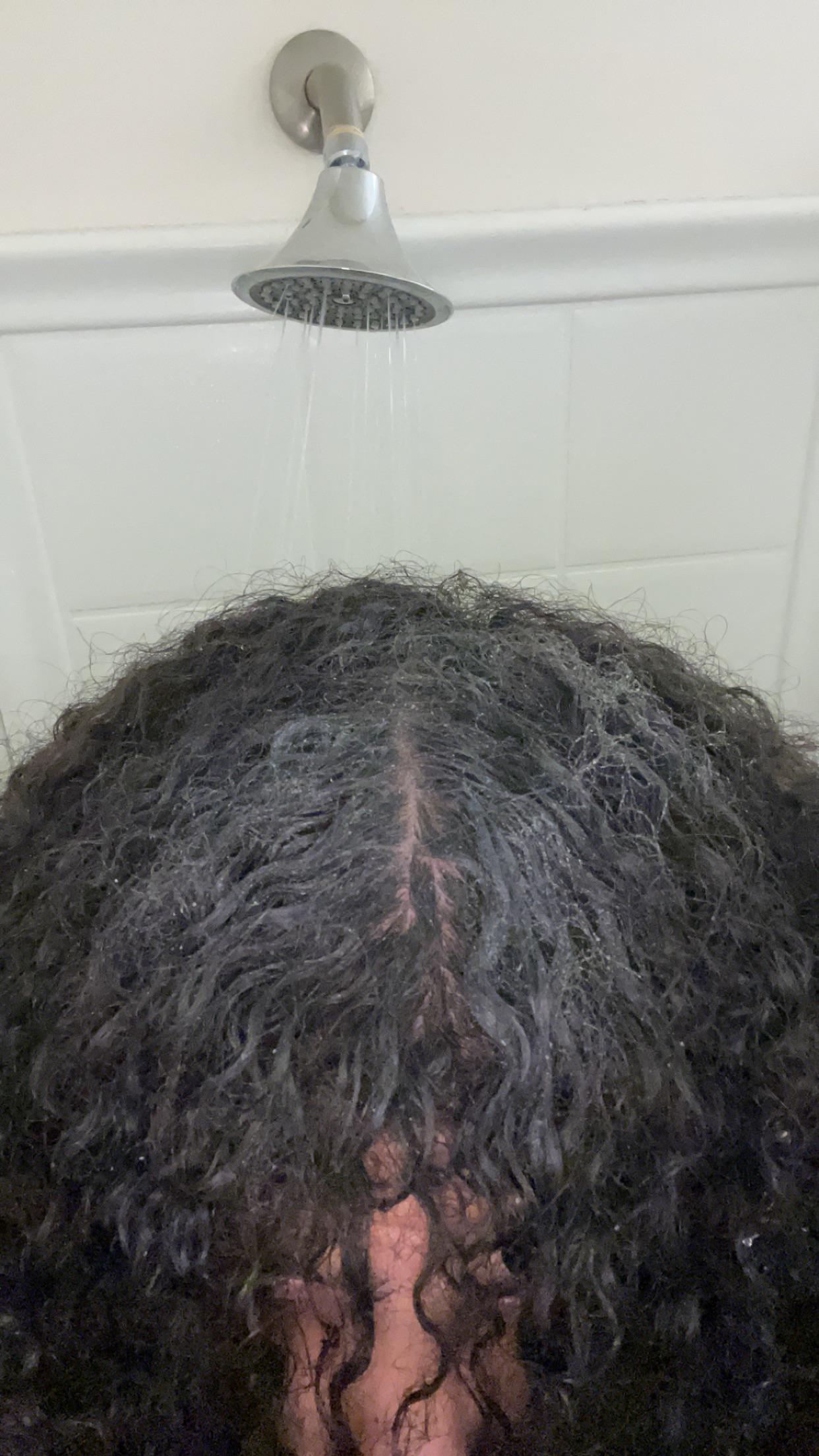 Should I be Scared | Scrolller