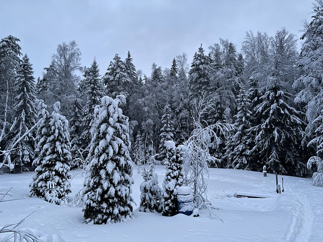 Love the view from my window | Scrolller