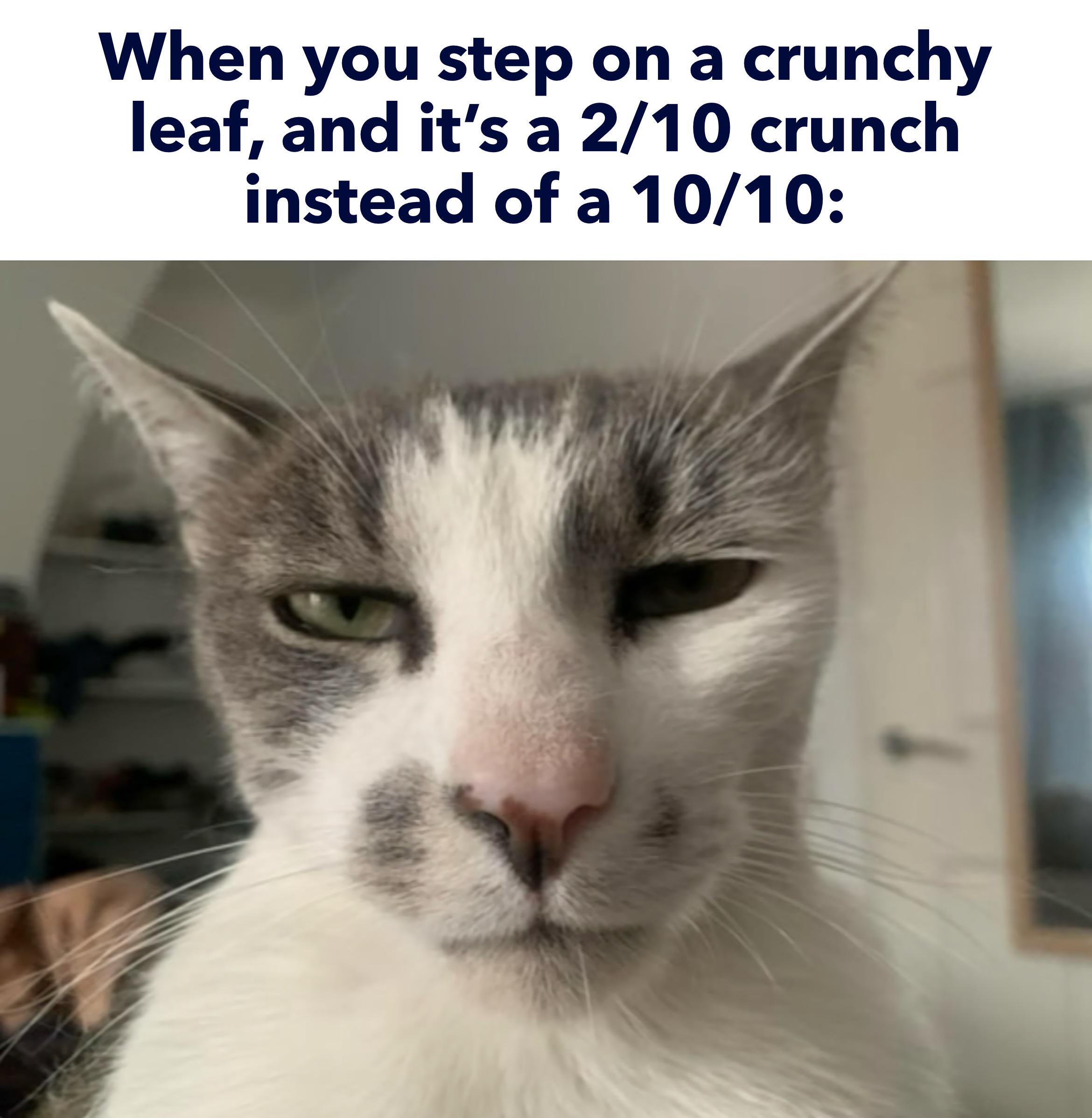 Not satisfied | Scrolller