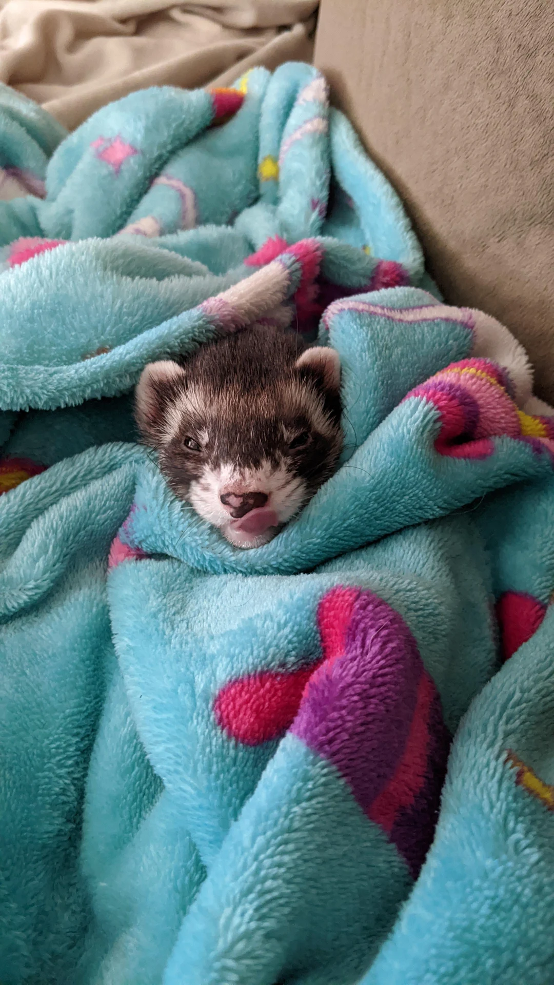 Harley Quinn is not amused by Mondays. | Scrolller