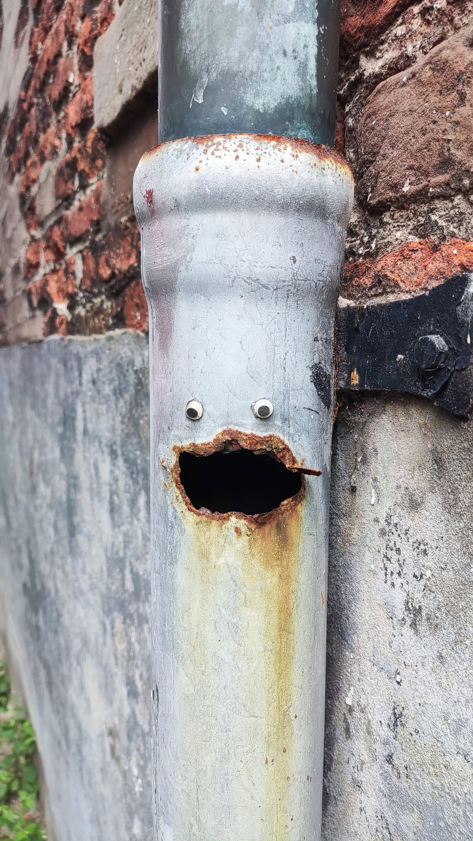 PsBattle: This googly eyed rusty drain pipe | Scrolller