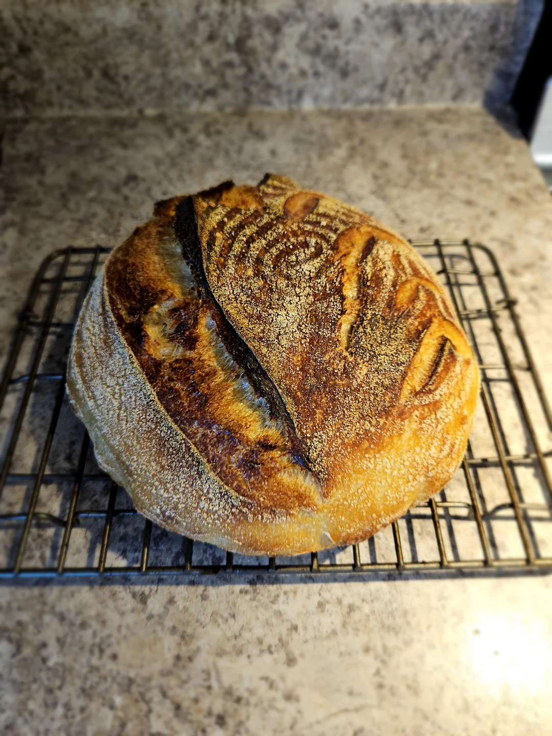 First freestyle sourdough bake | Scrolller