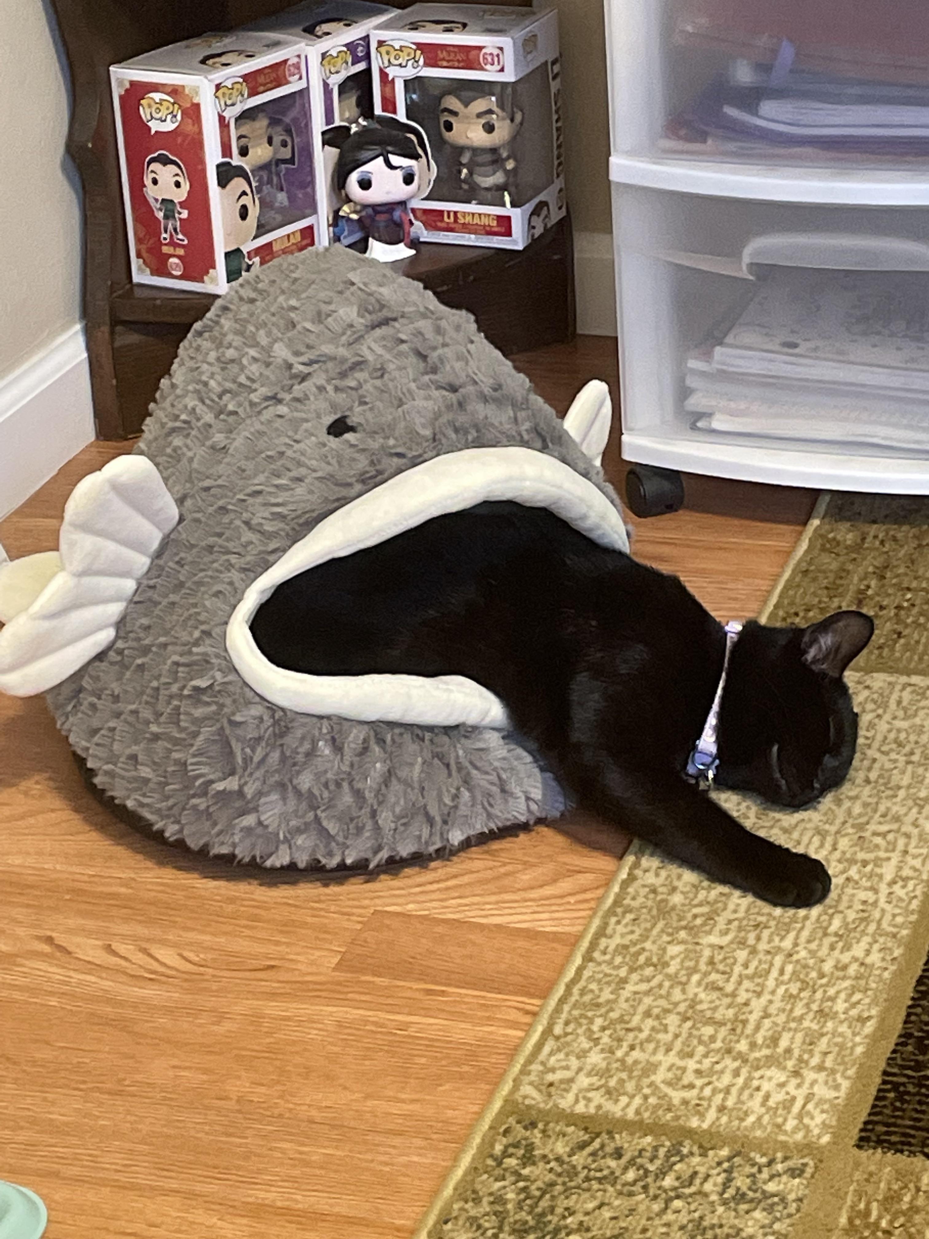 This is the most comfortable | Scrolller