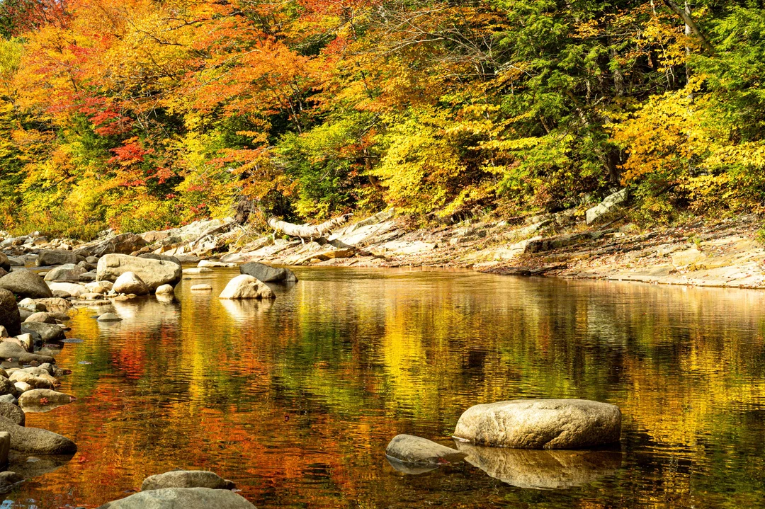 Reflections [OC] [6048x4024] White Mountain National Forest, New Hampshire | Scrolller