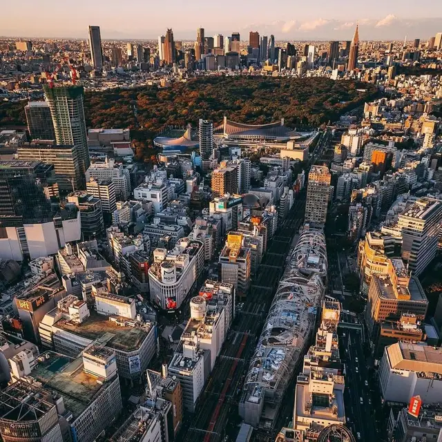 Shibuya, Tokyo | Scrolller