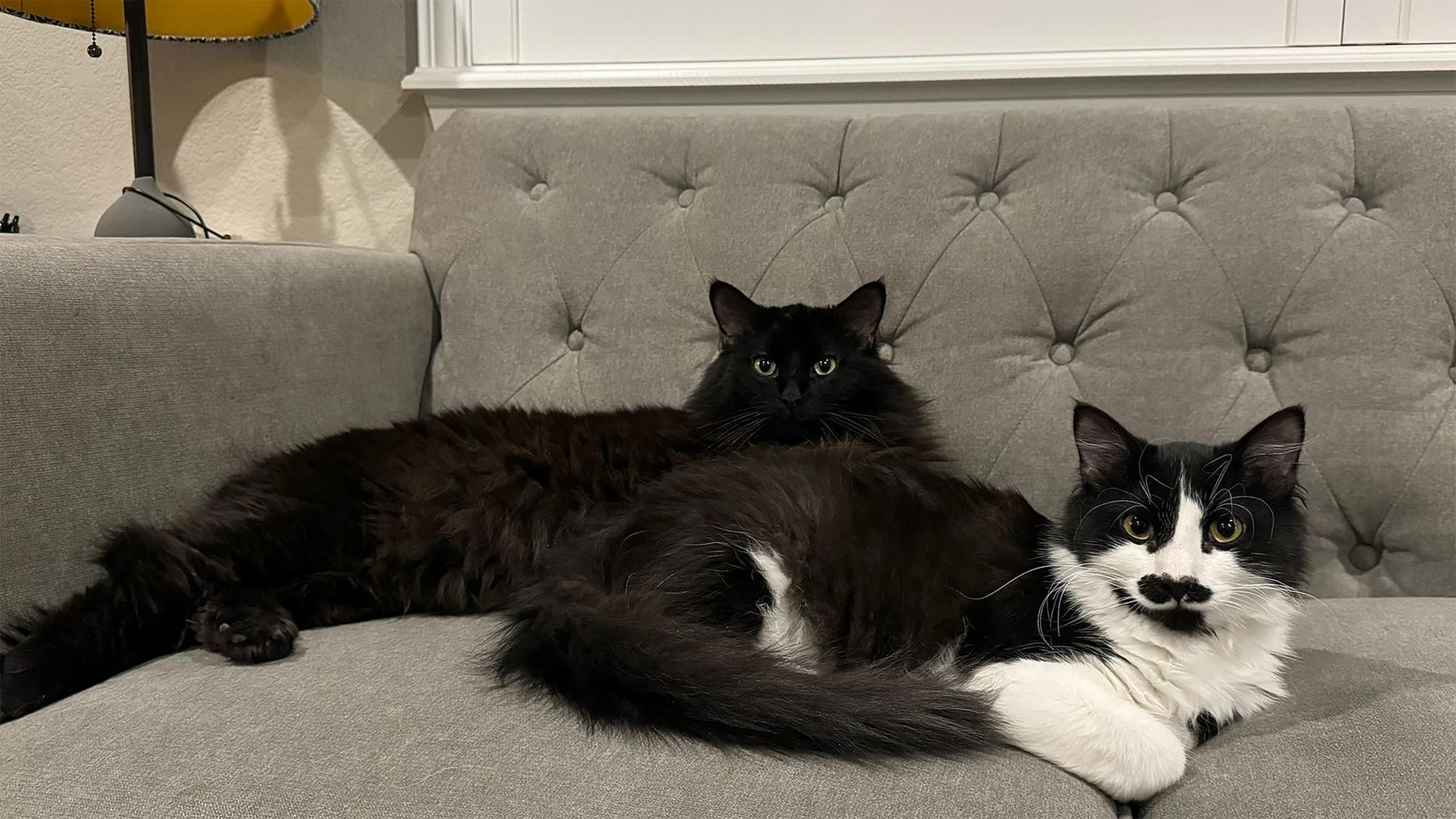 Hardened criminal and his apprentice | Scrolller