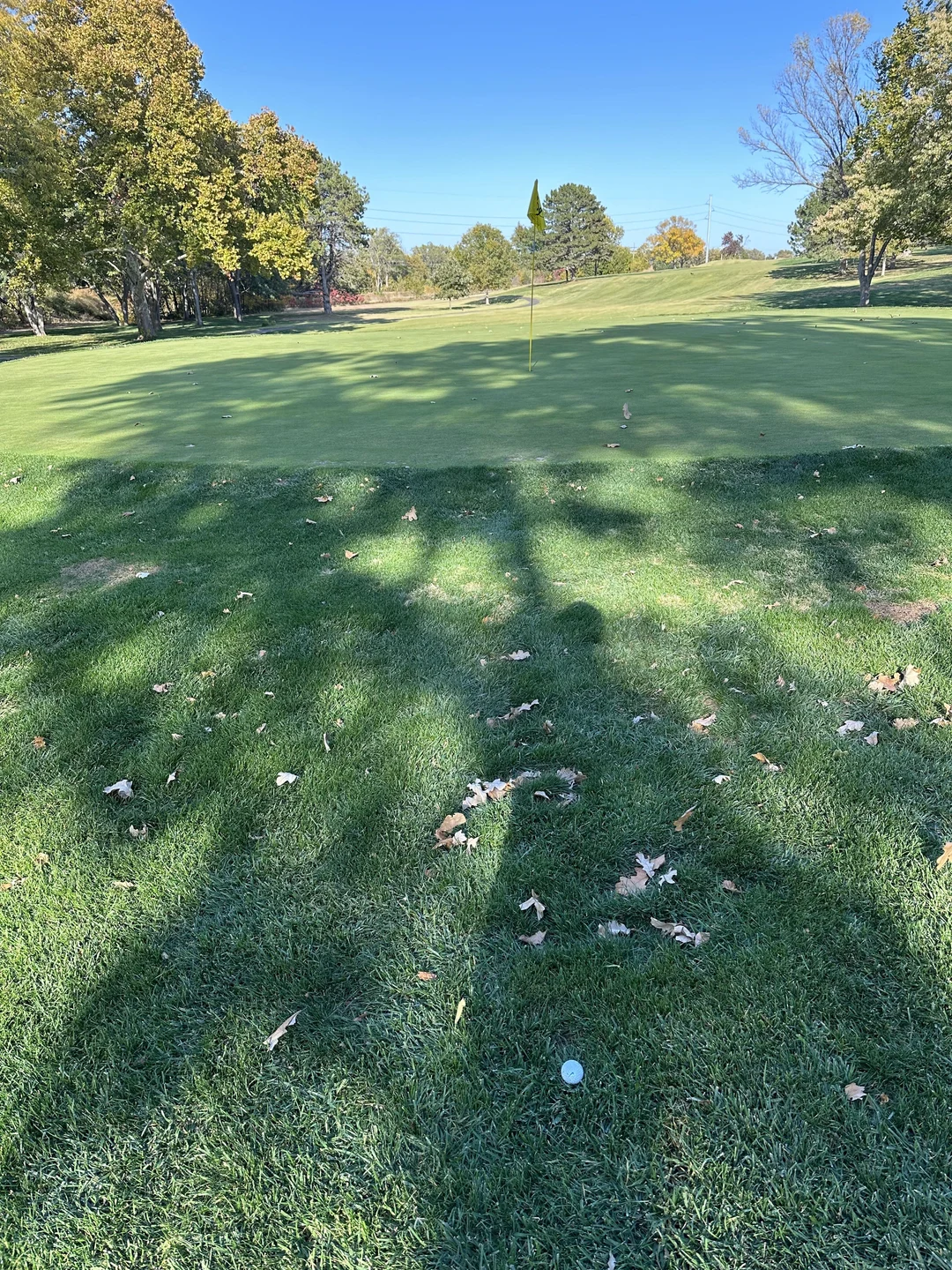 May not be impressive to y’all, but I got my first chip in! | Scrolller