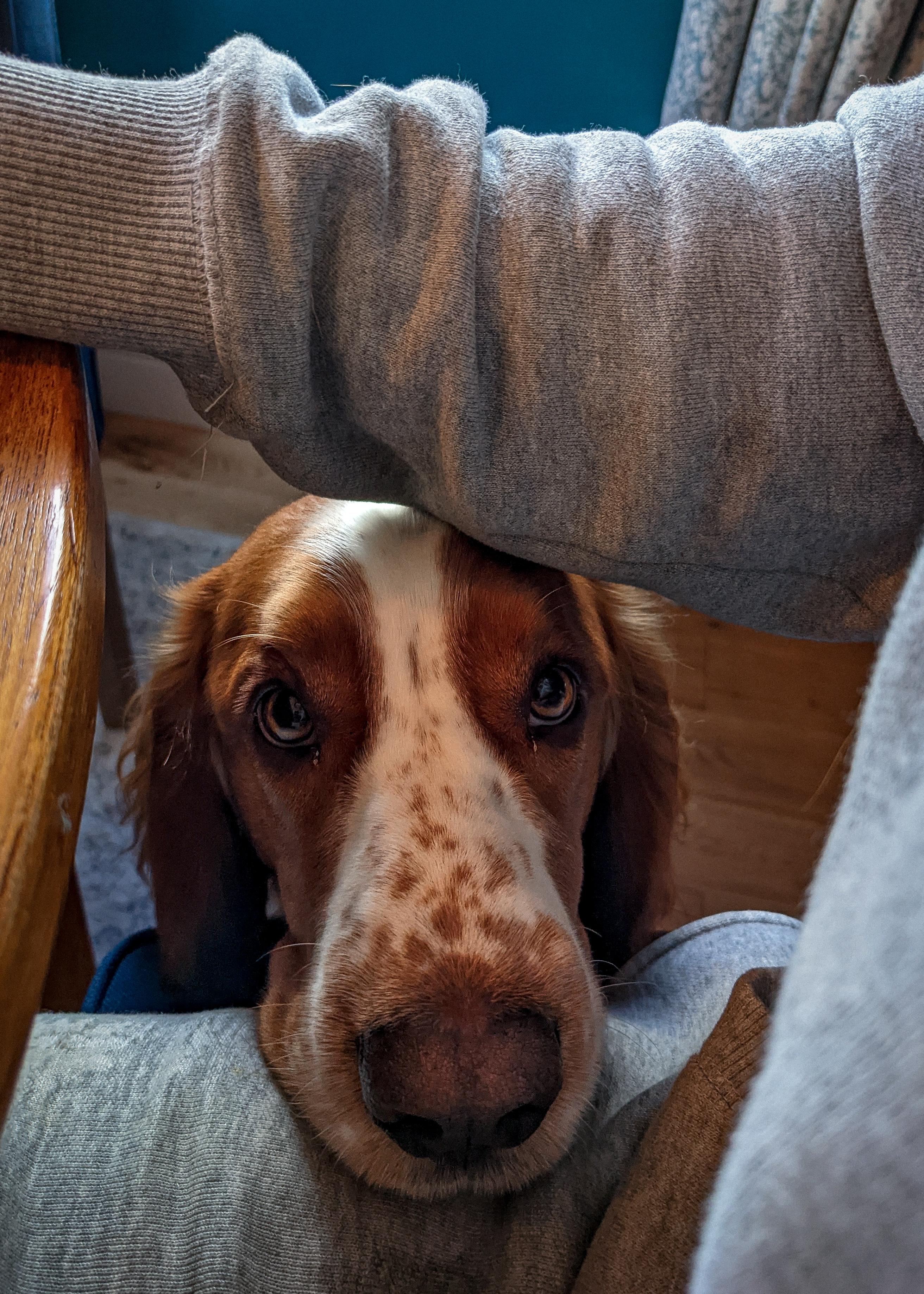 Working from home is a real struggle. | Scrolller