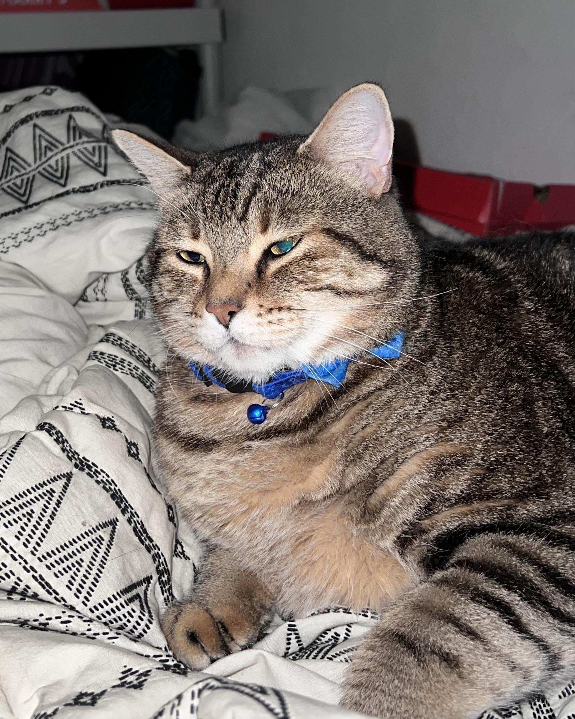 Always grumpy | Scrolller