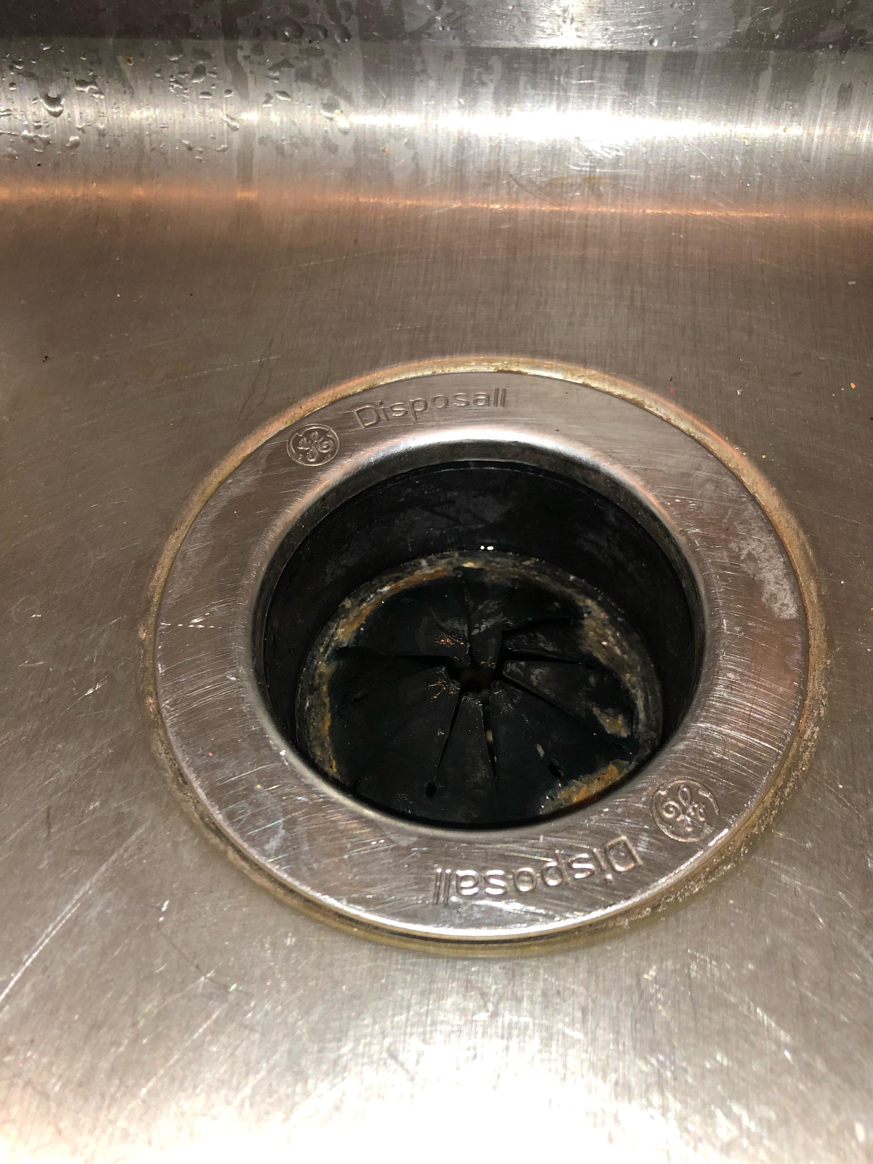 My garbage disposal prolapsed | Scrolller