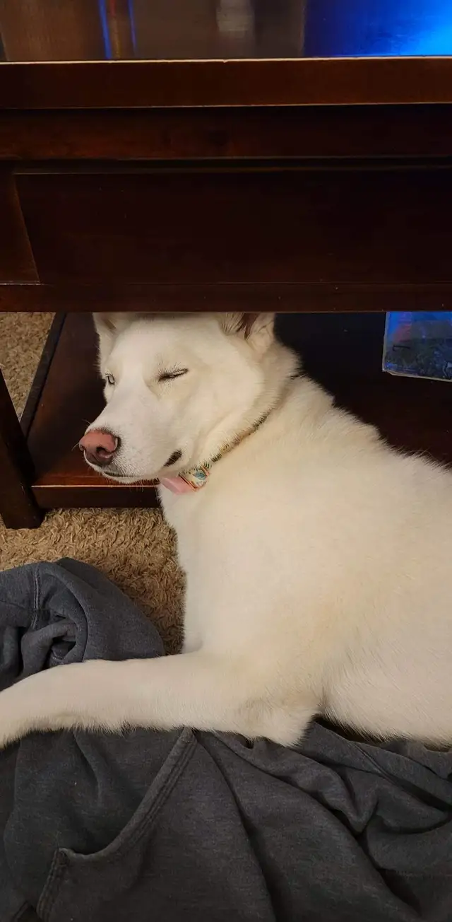 Wondering why I'm staying up so late | Scrolller