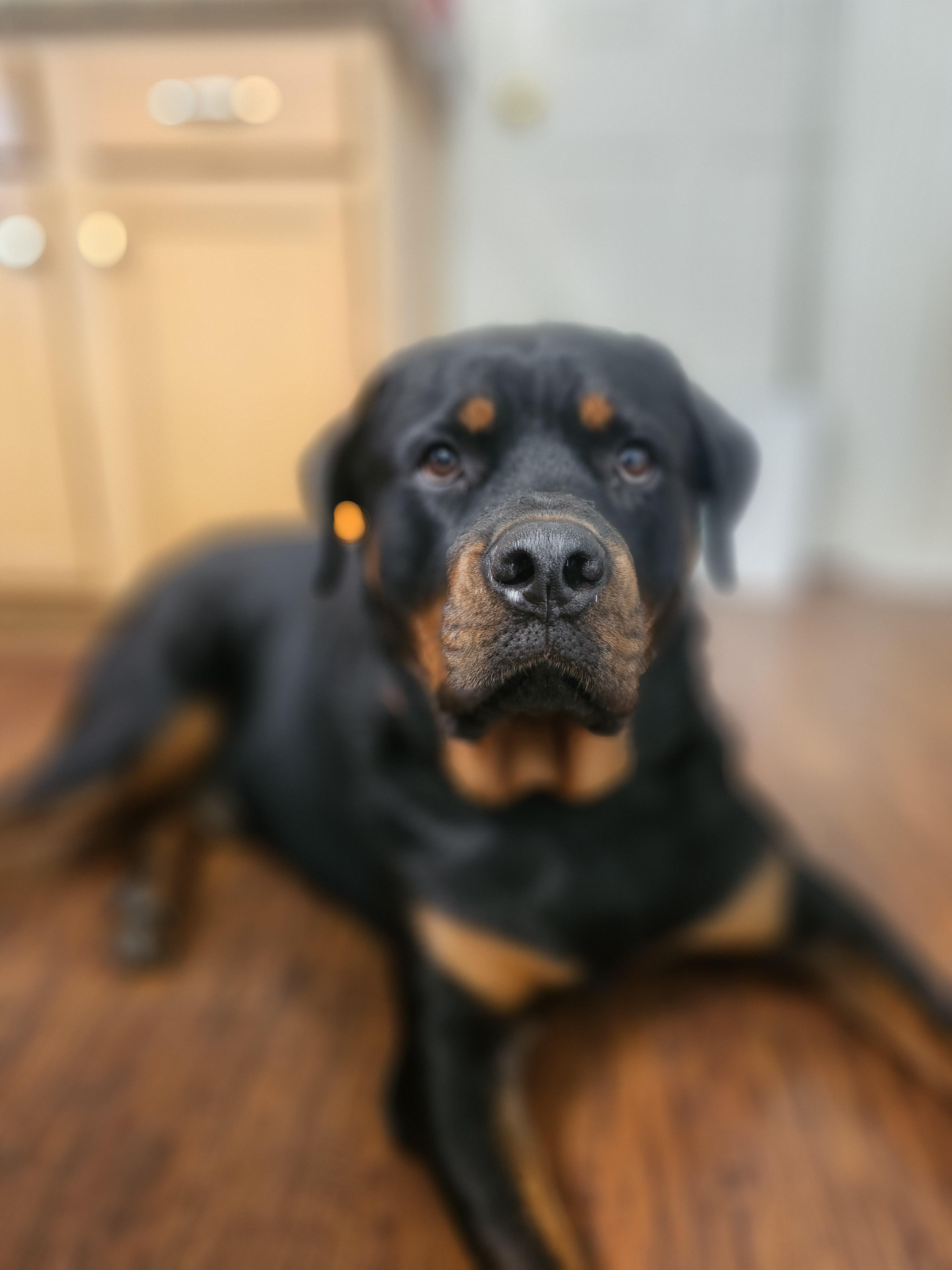 More Apollo | Scrolller