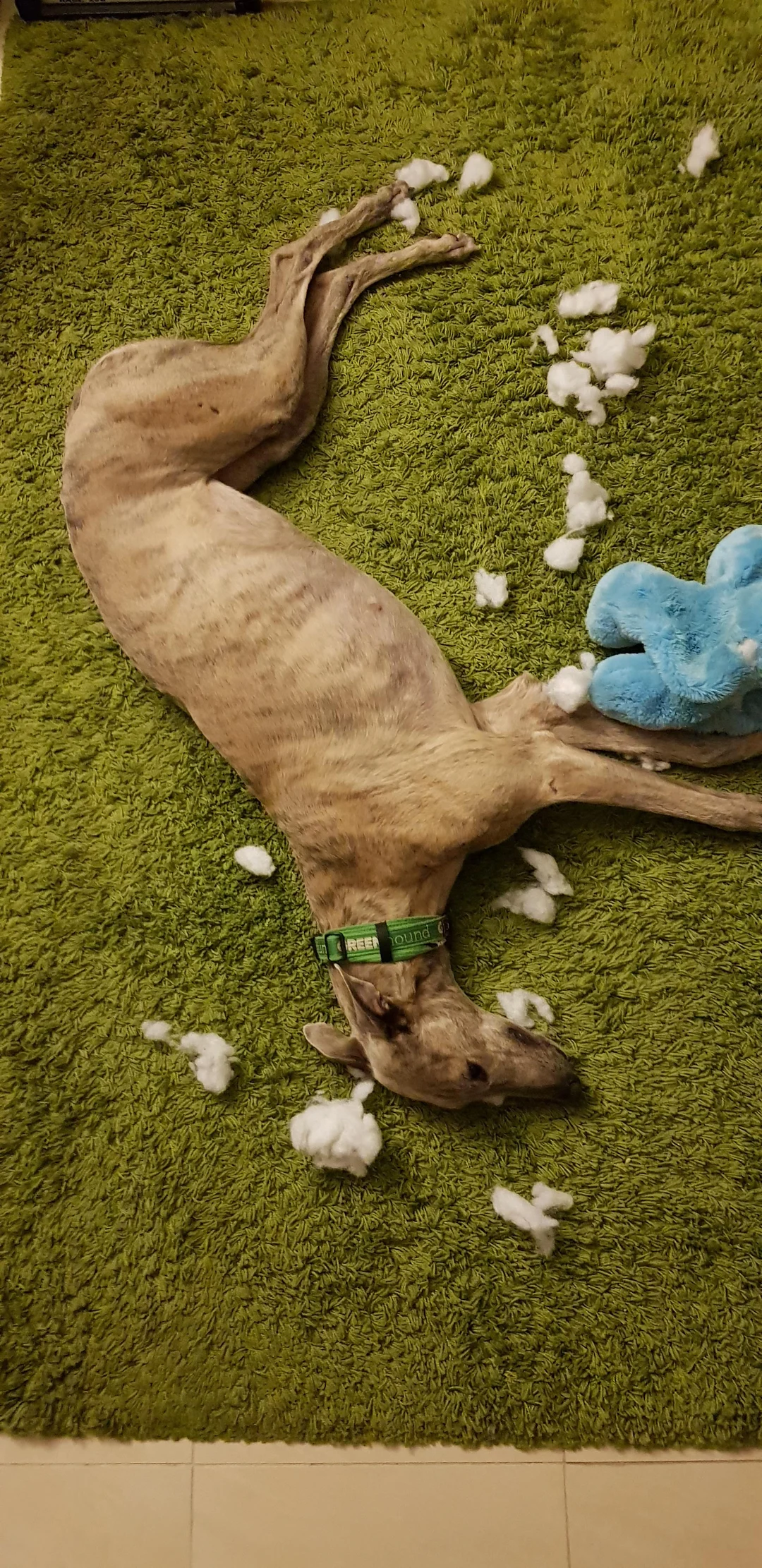 Murder scene | Scrolller