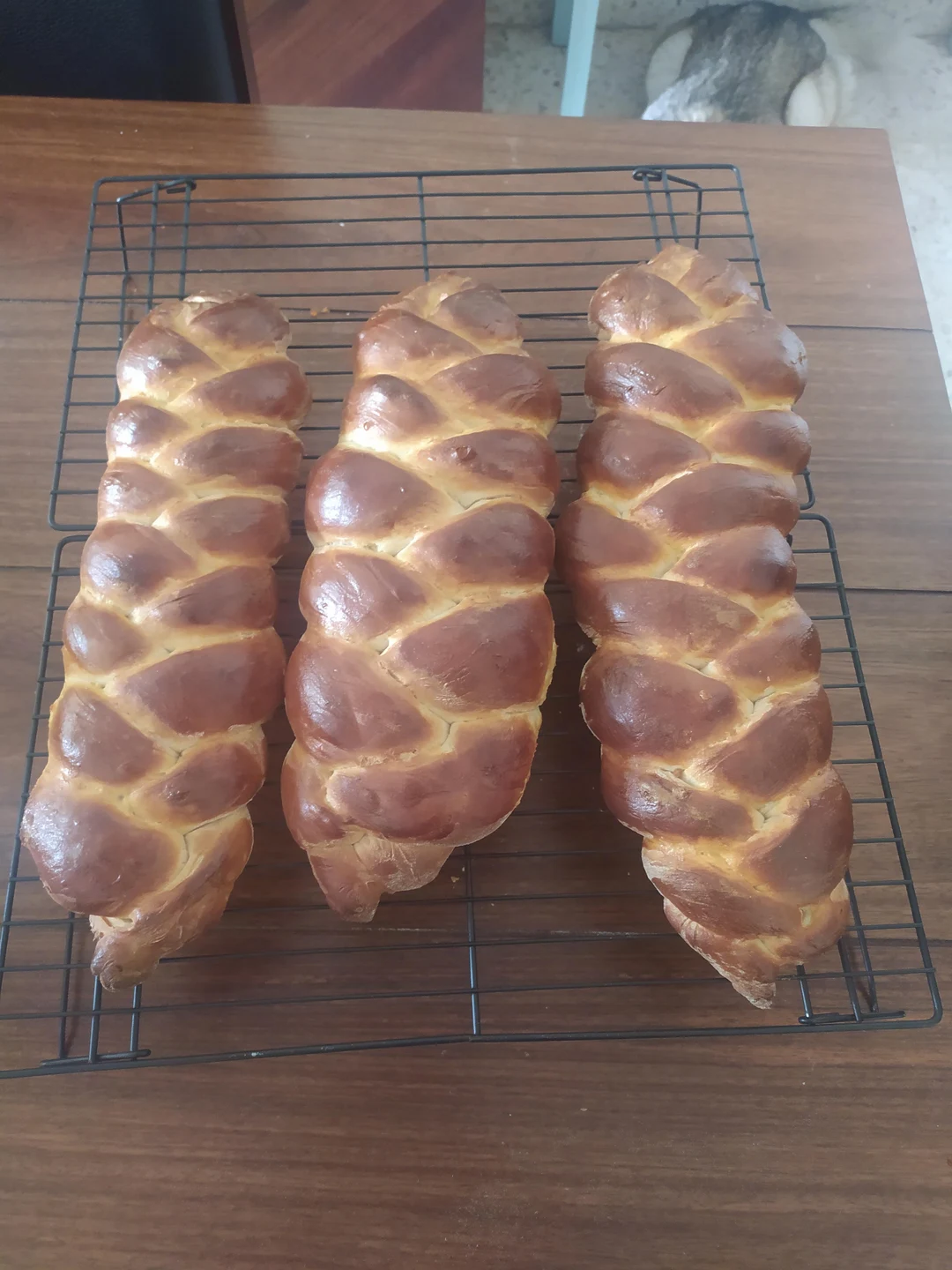 Challah first time | Scrolller