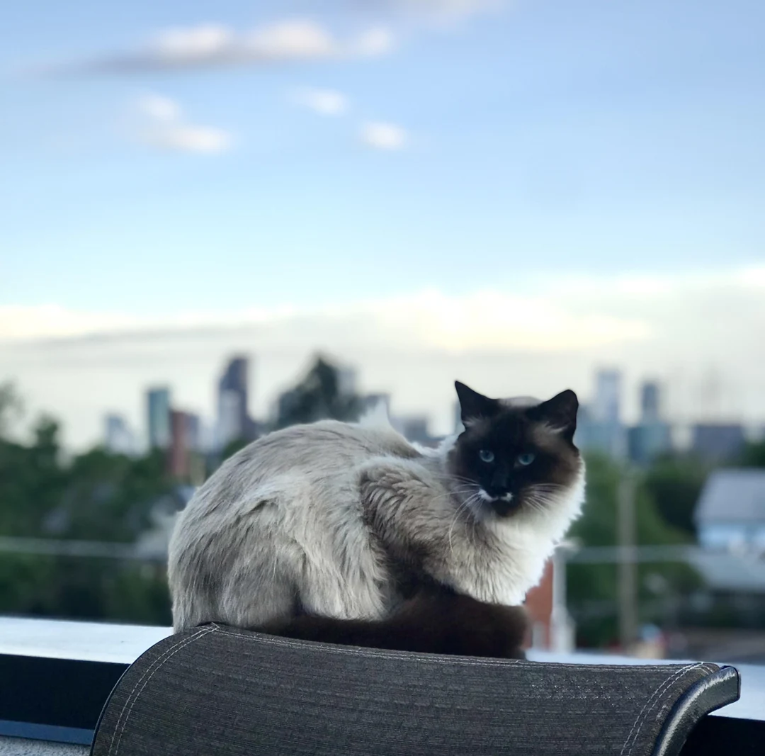Rooftop loaf | Scrolller