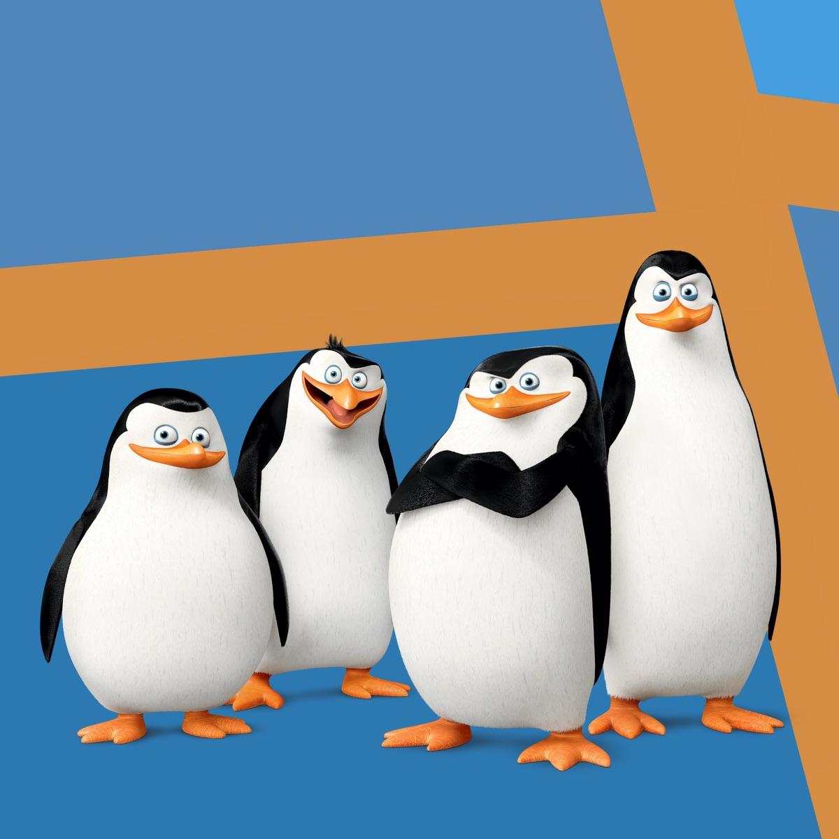 Who is the best penguin/penguins in this list? | Scrolller