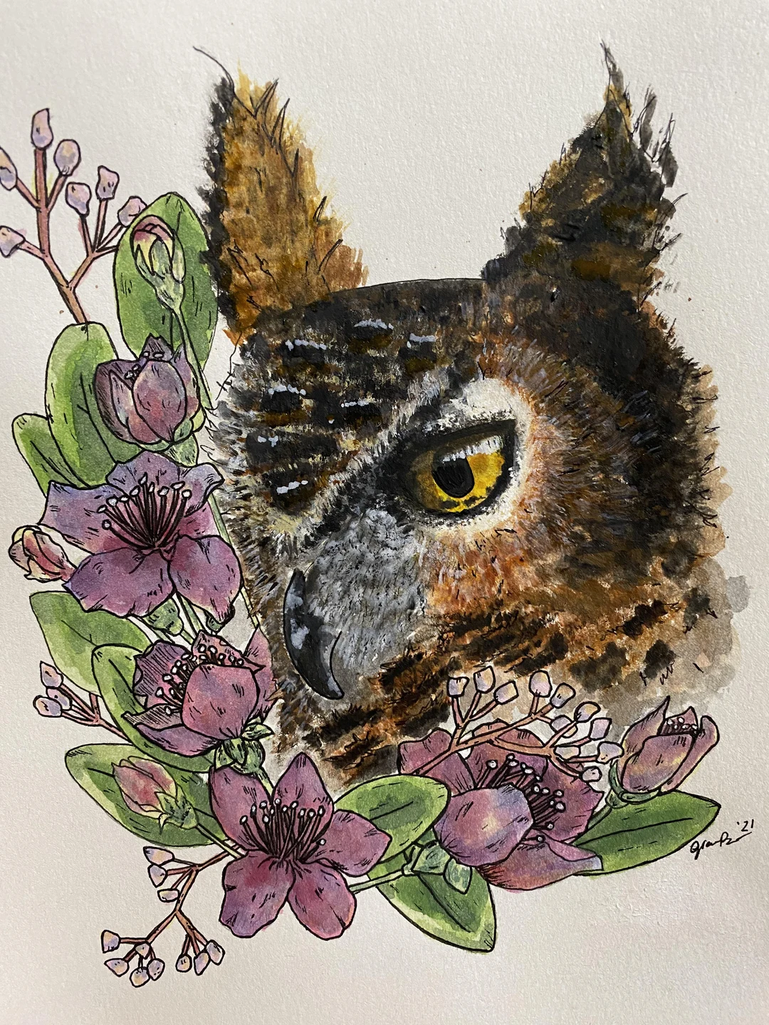 Idk why it took me so long to find this subreddit! Owls are my flavorite! OC. | Scrolller