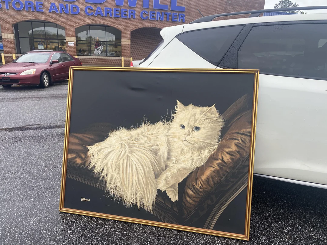 Thrift store floof | Scrolller