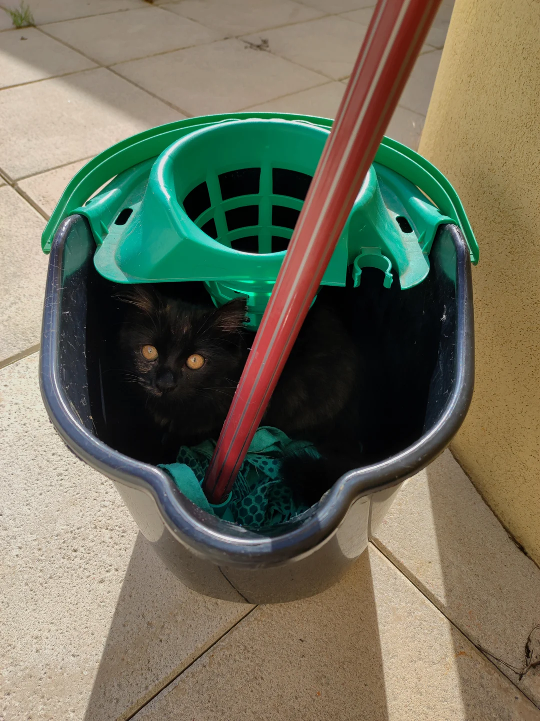 The bucket has eyes | Scrolller