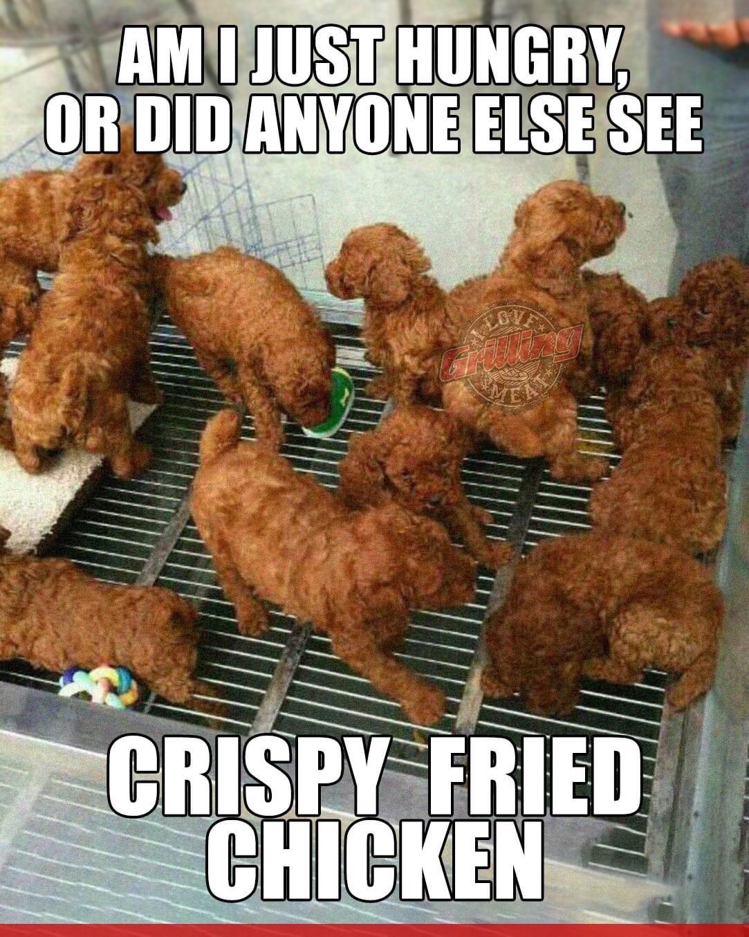 Illusion | Scrolller