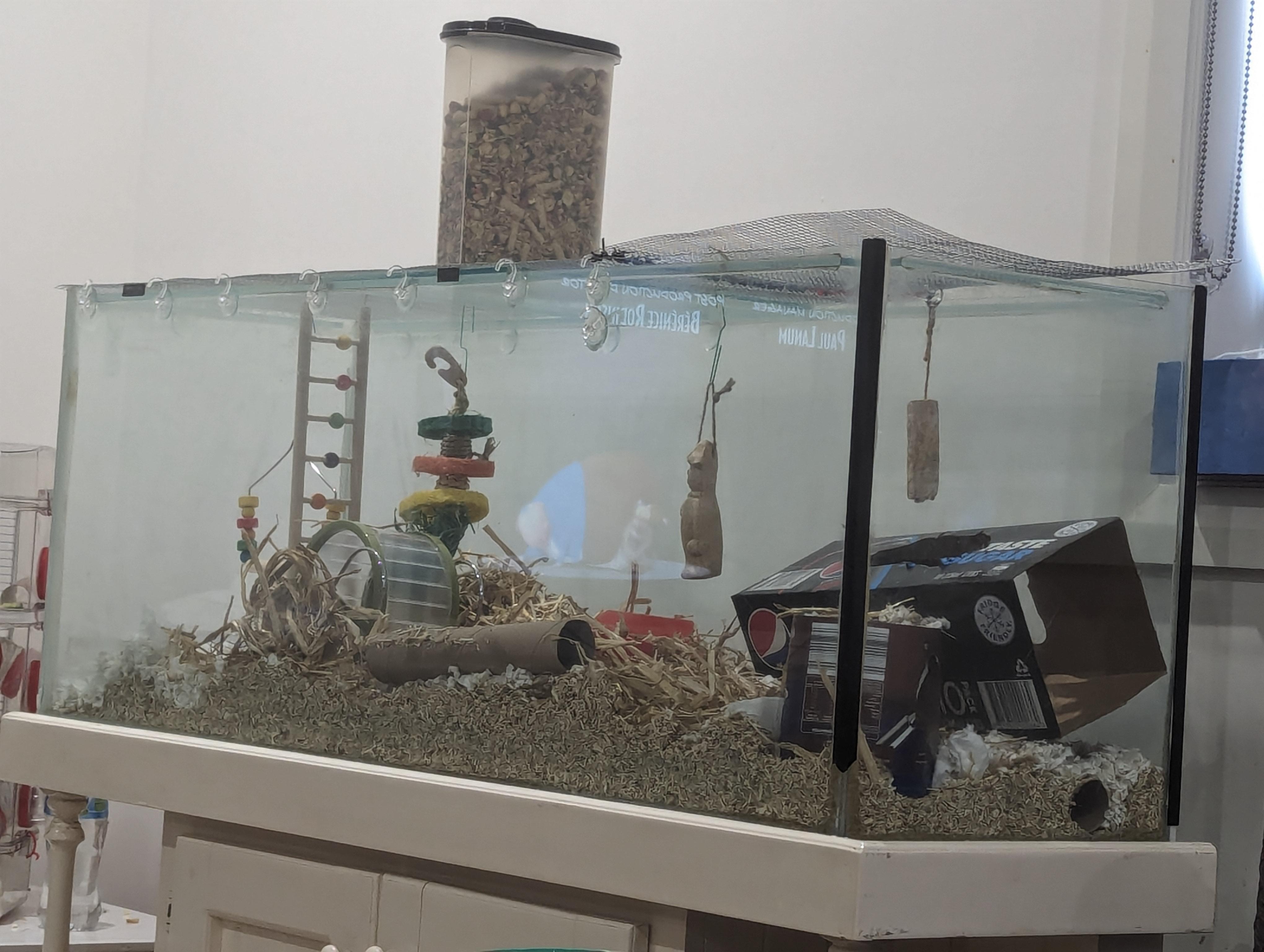 Enclosure questions | Scrolller