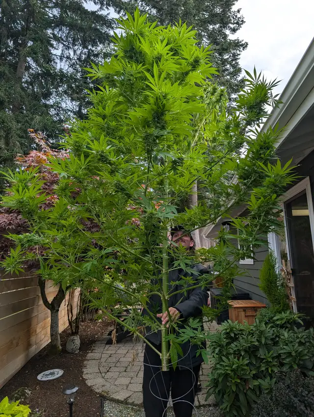 Trimming day! | Scrolller