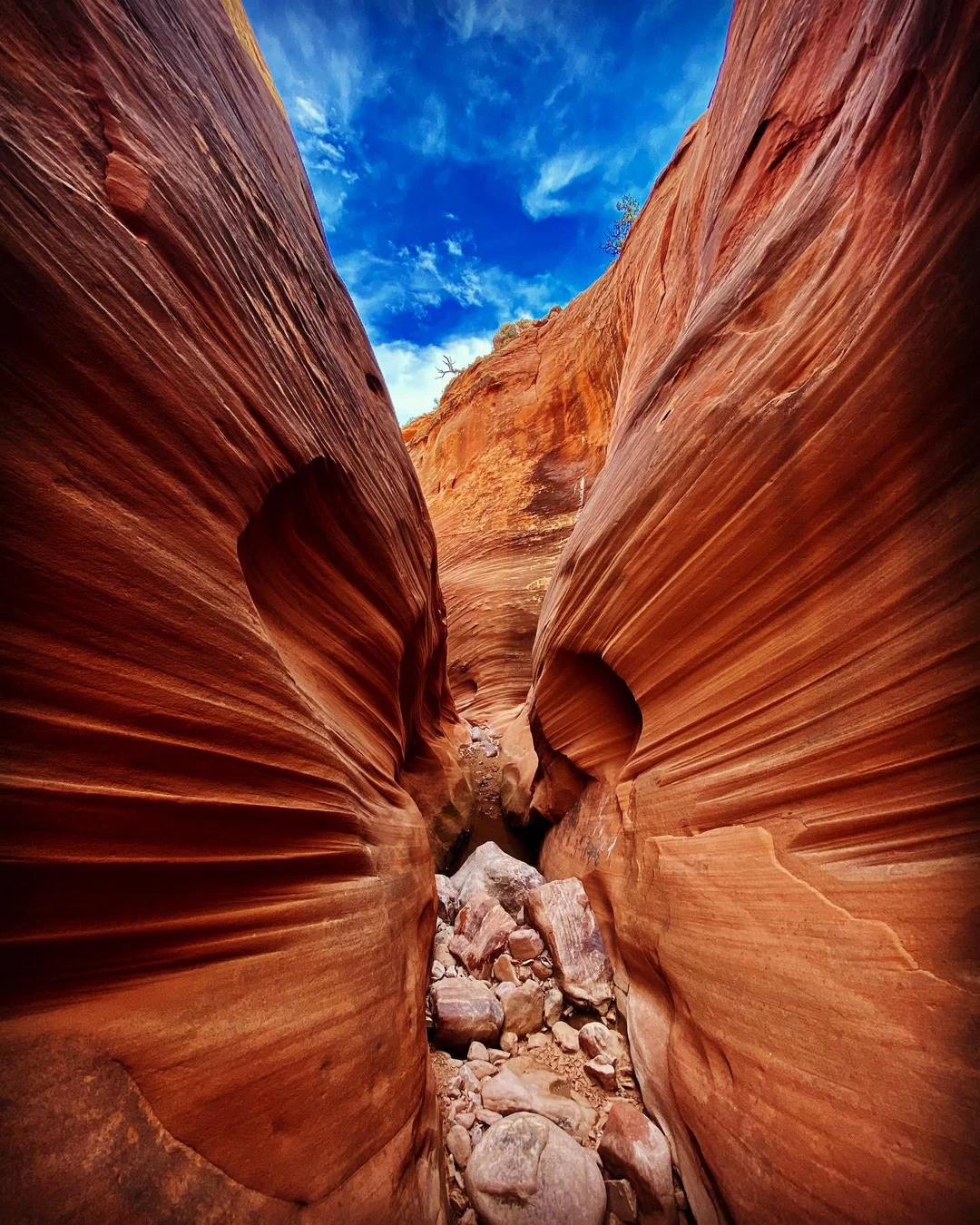 Hidden Red Rock Slot Canyon, Utah. [OC] [3000x4000] | Scrolller