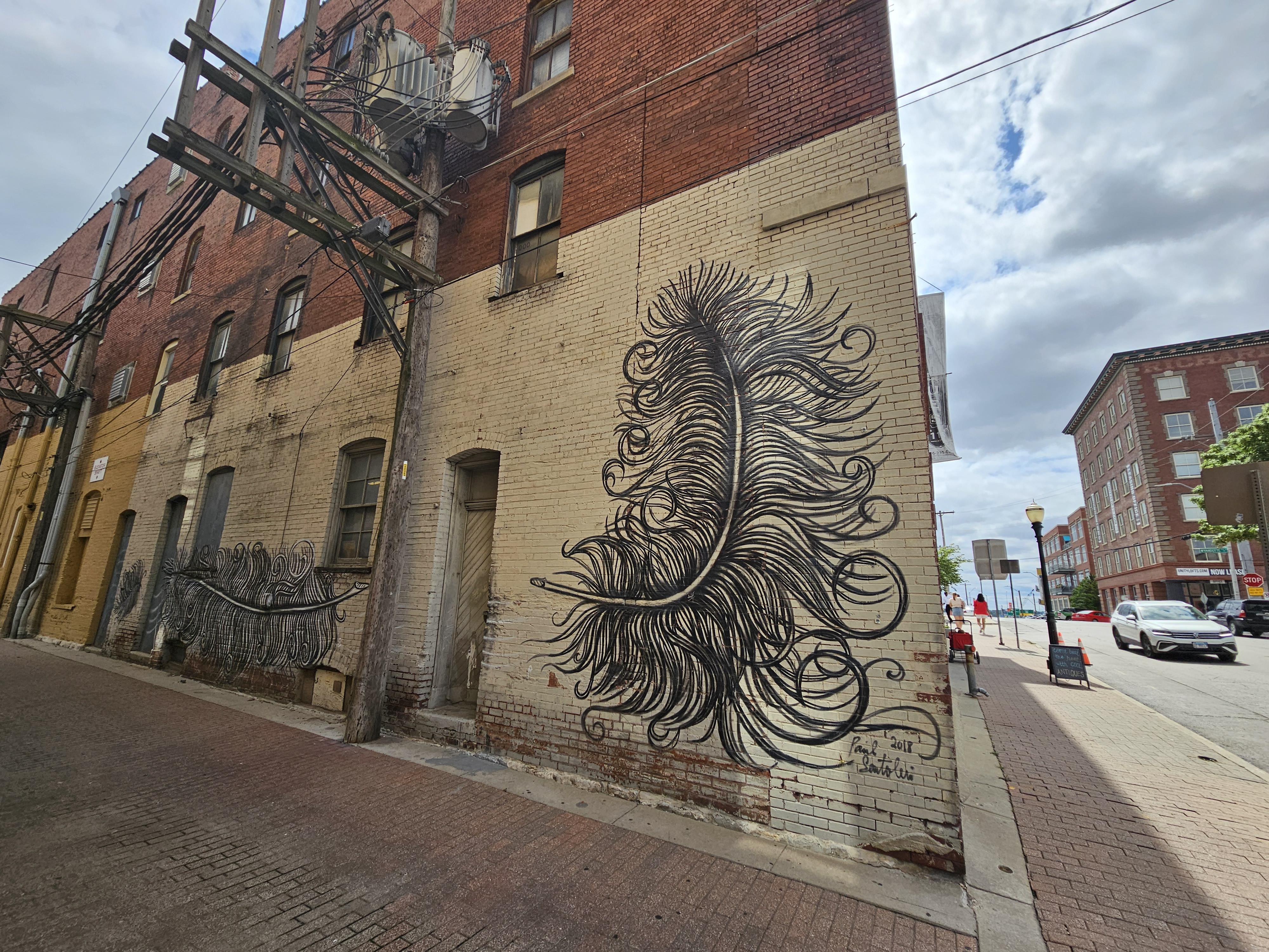 Feathers | Scrolller