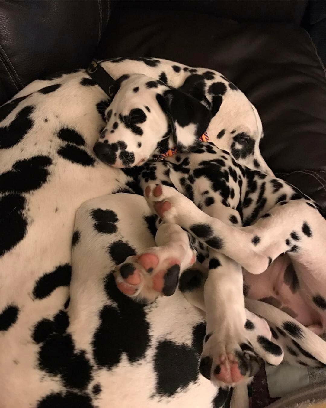 (OC) My old man taking the newbie under his wing | Scrolller