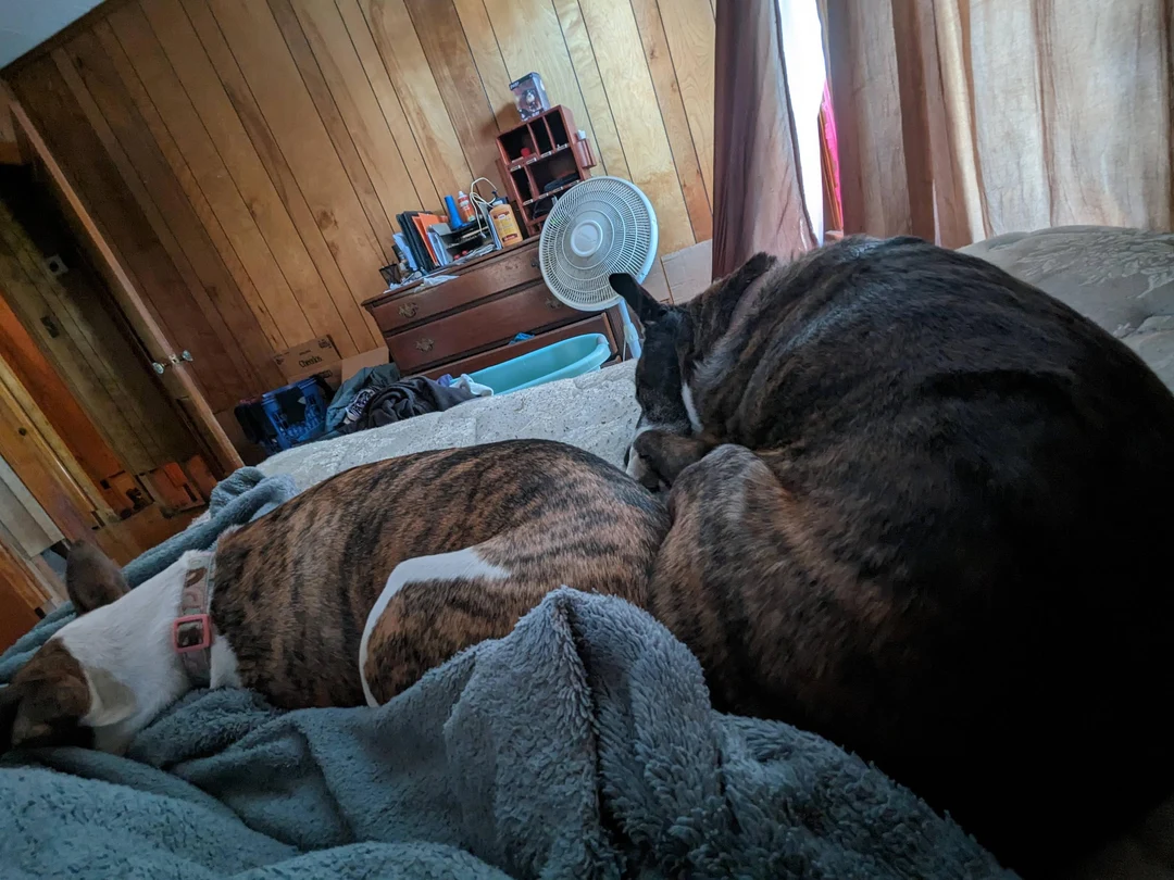 I love these cuddle bugs | Scrolller