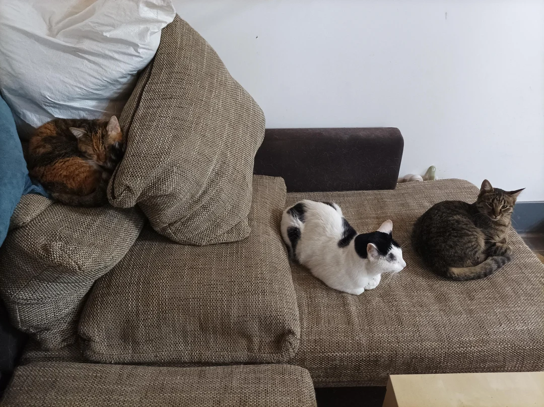 one be loafing | Scrolller