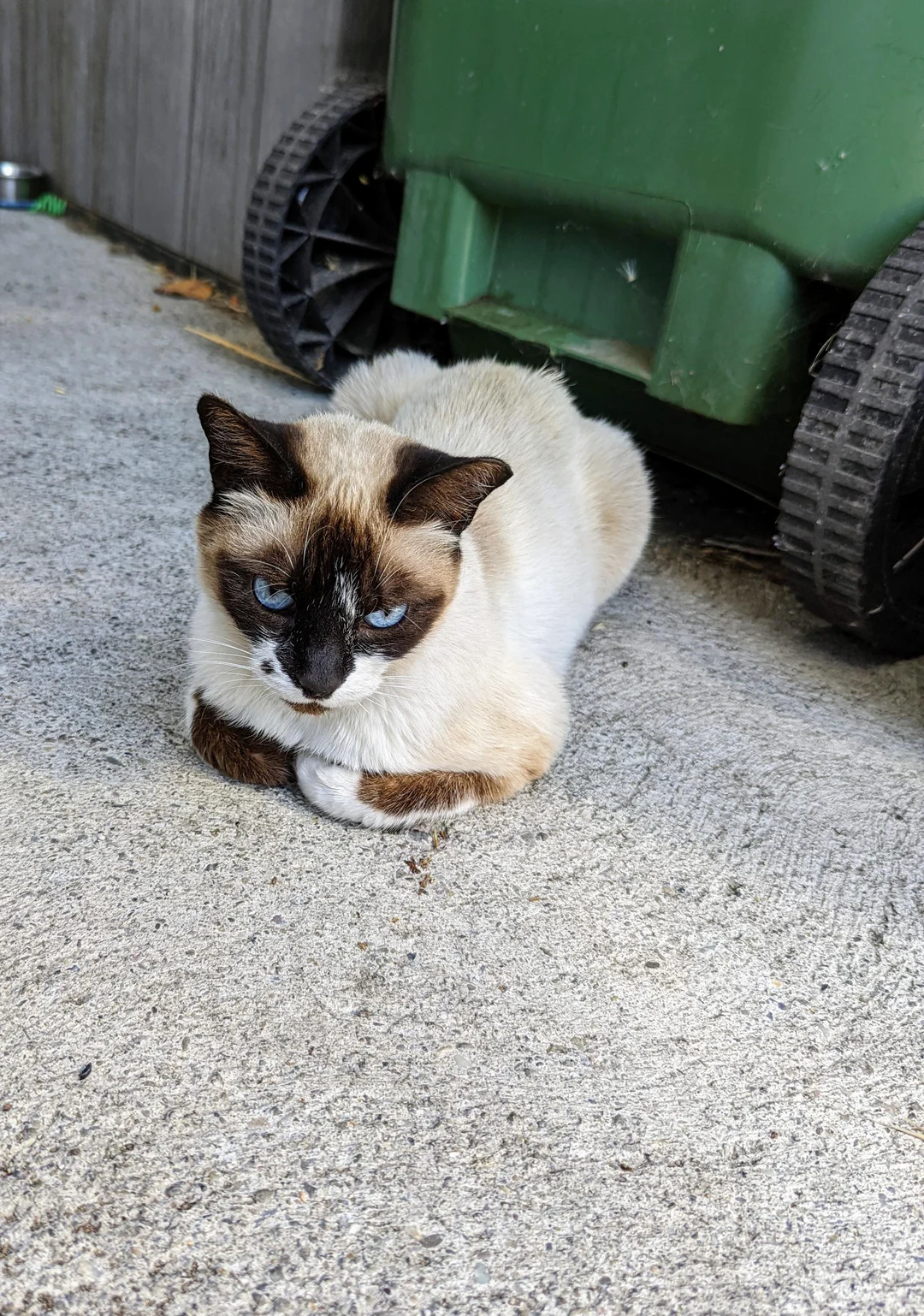 Recycle Angry Loaf | Scrolller