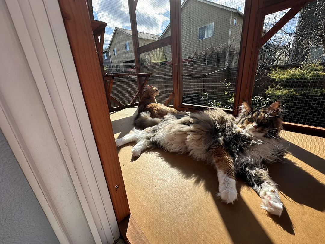Sunning the floof after a long winter | Scrolller
