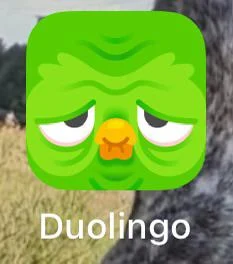 Can looking forward we Duolingo UI please? | Scrolller