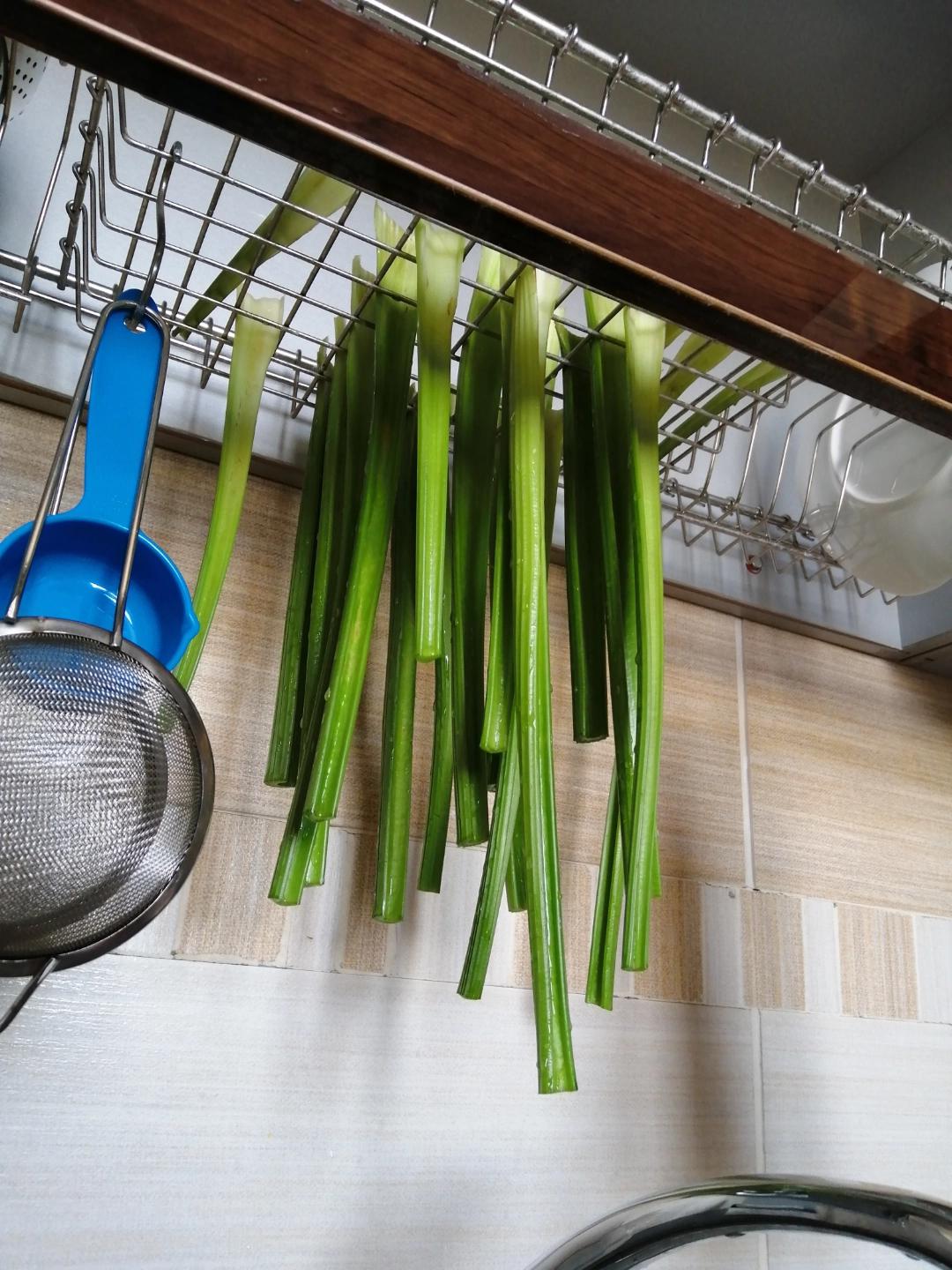 Drying washed celery | Scrolller