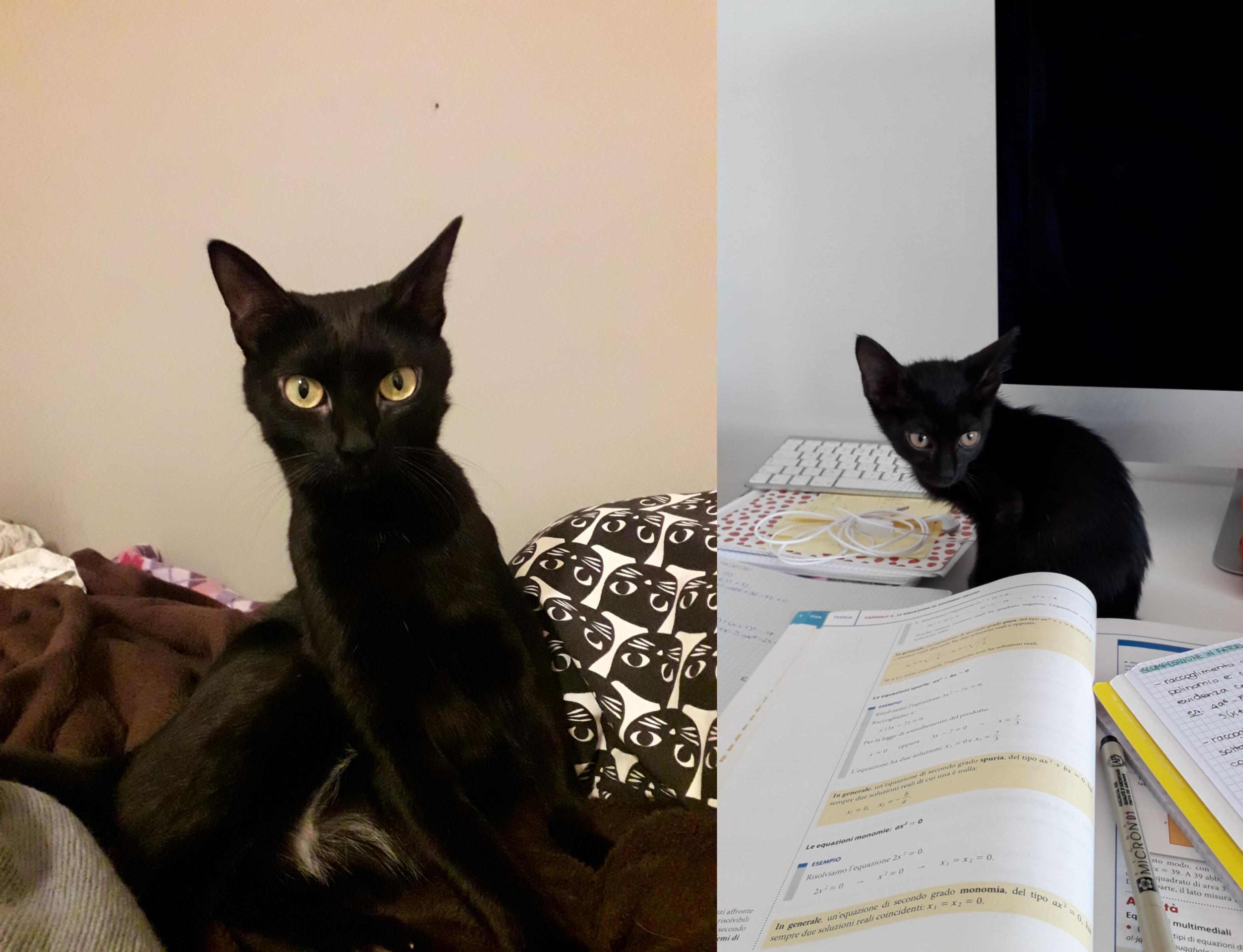 3 years of difference | Scrolller