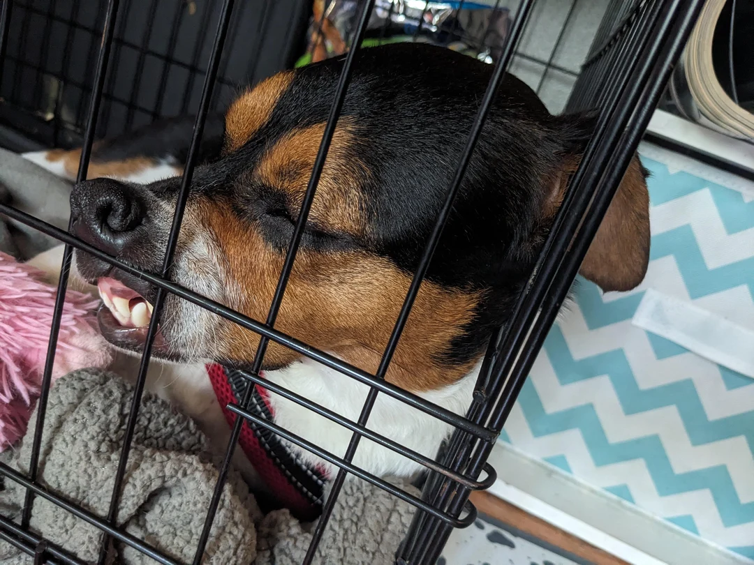 That Can T Be Comfortable Scrolller