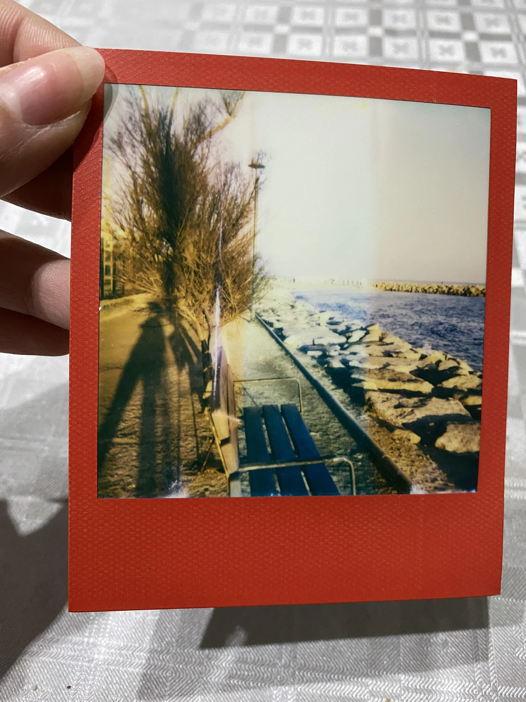 Color issue? taken with Polaroid 636 closeup | Scrolller