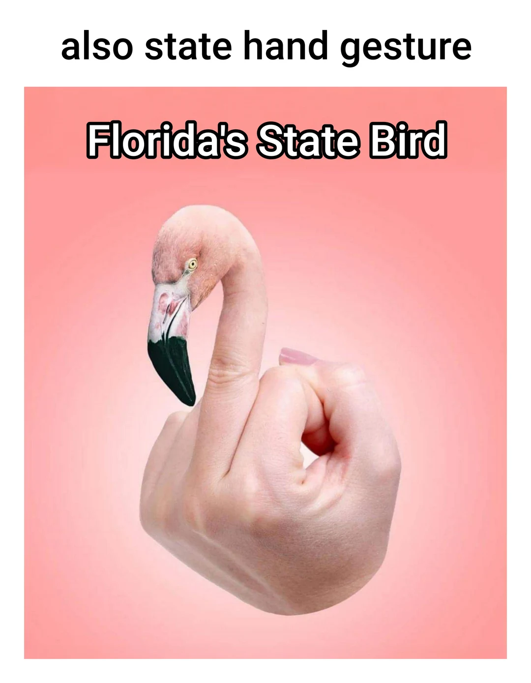 exotic greeting | Scrolller