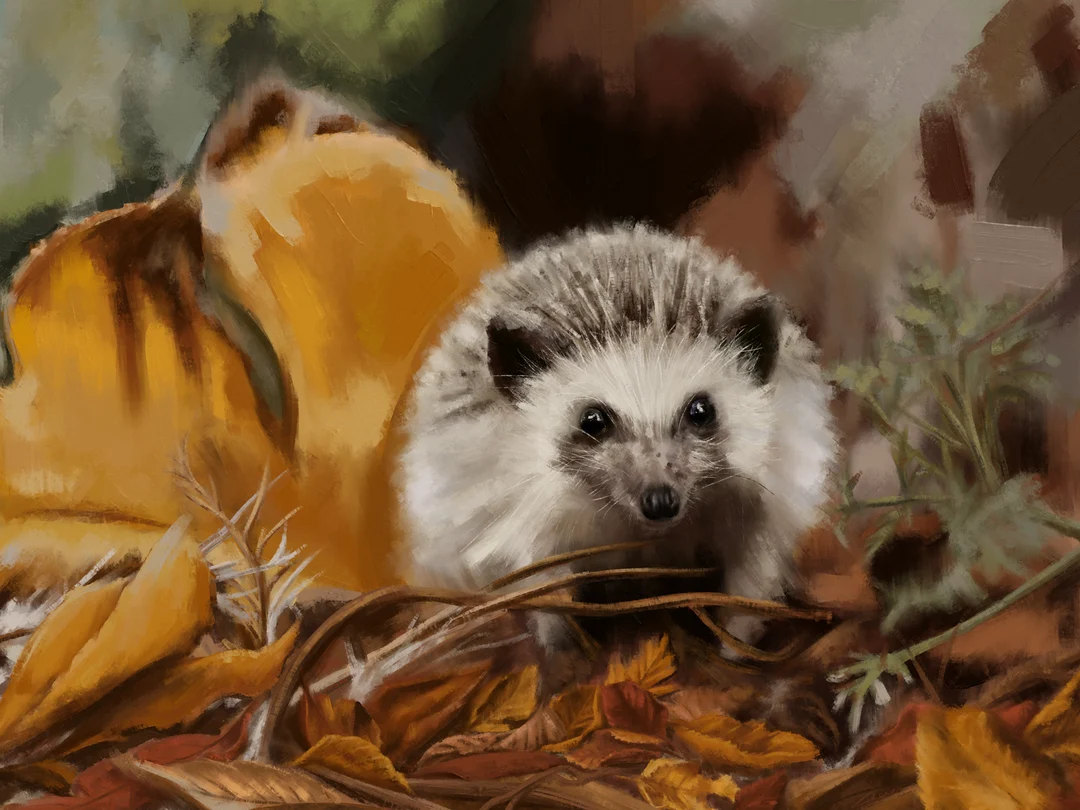 Hedgehog, Cowyyy (me), Digital, 2023 | Scrolller