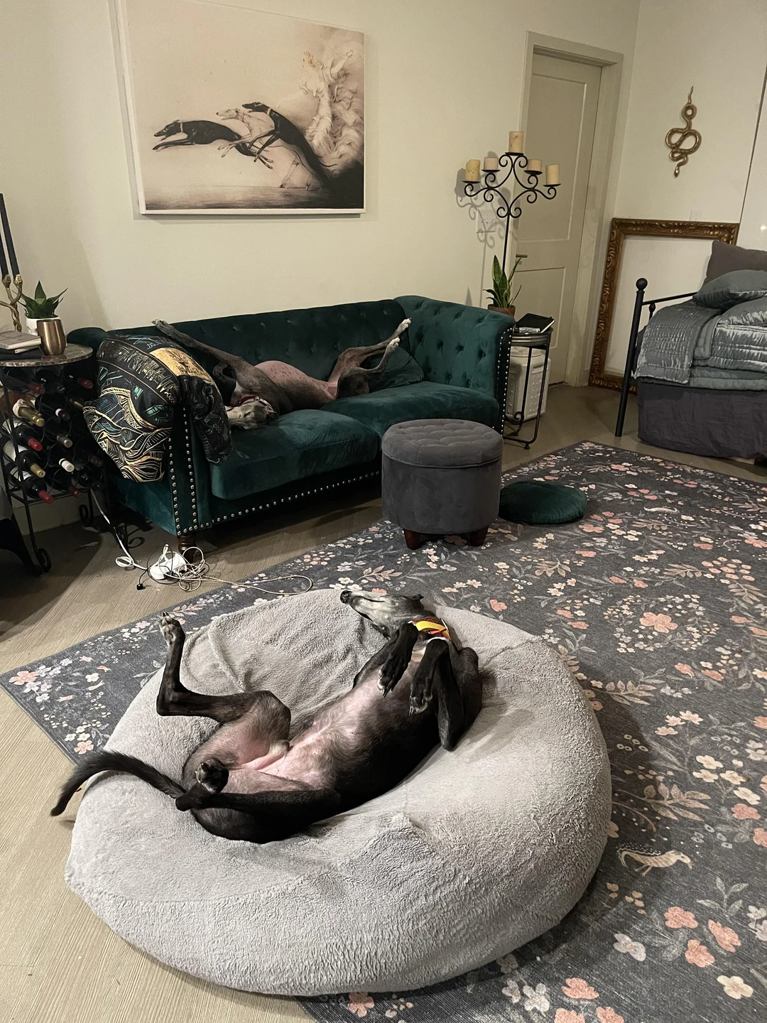 Roach infestation: | Scrolller