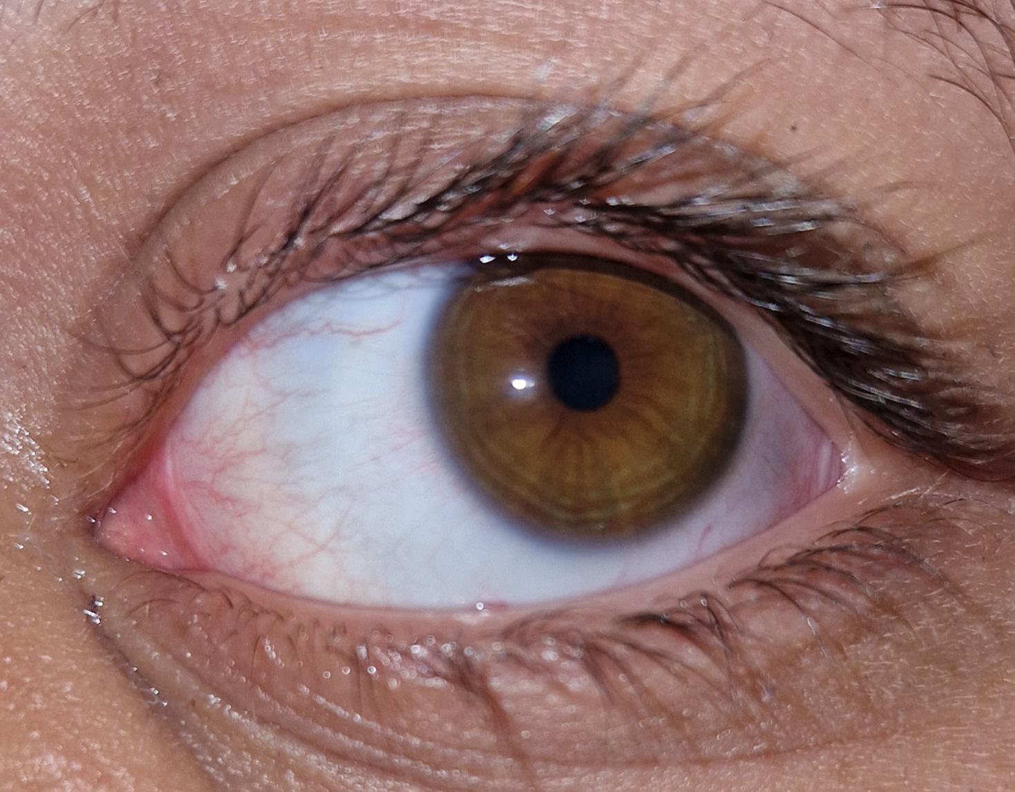 What color is this, I think it's just brown but my friend said hazel | Scrolller